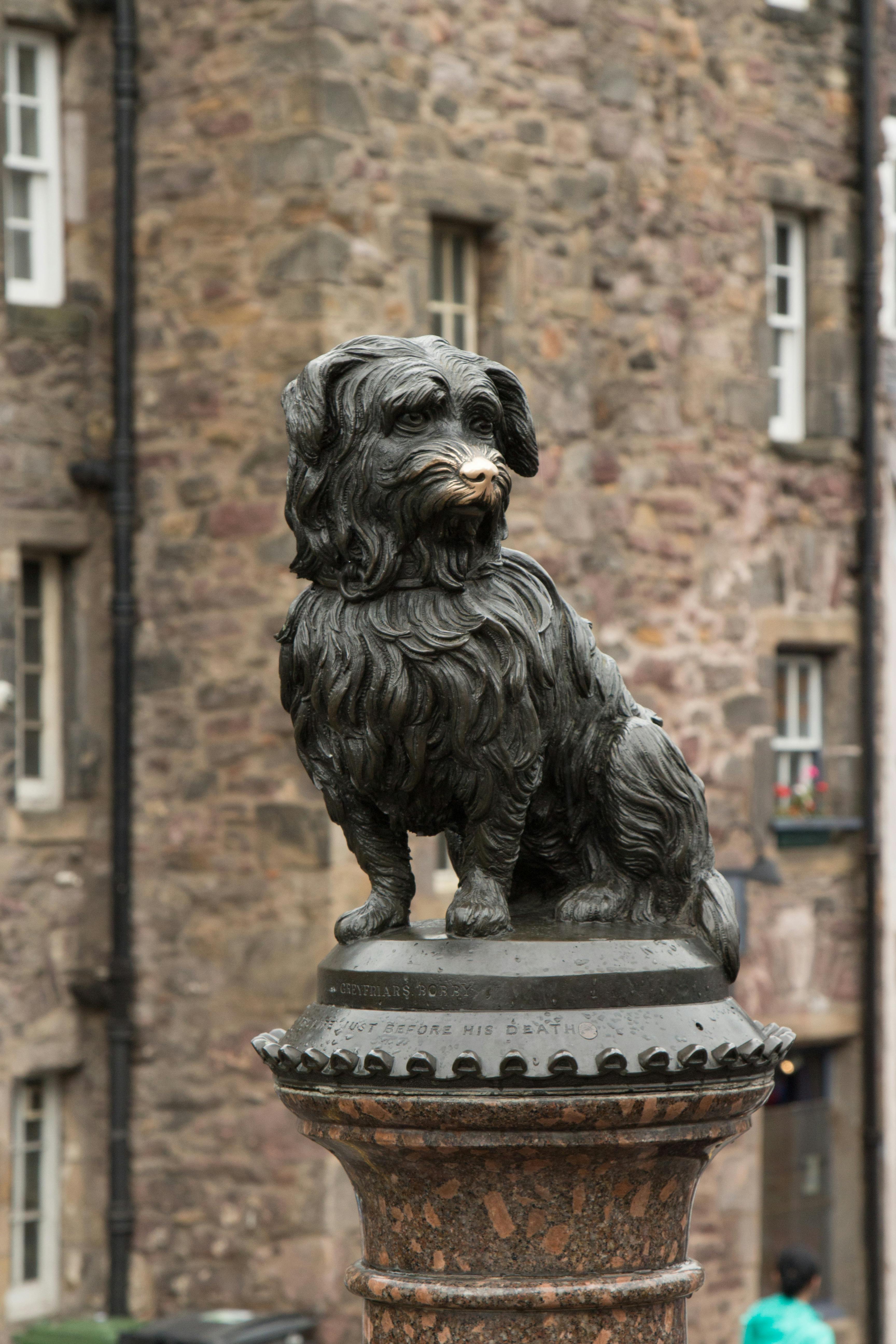 Famous Bobby Statue in Edinburgh with Tour Bus · Free Stock Photo