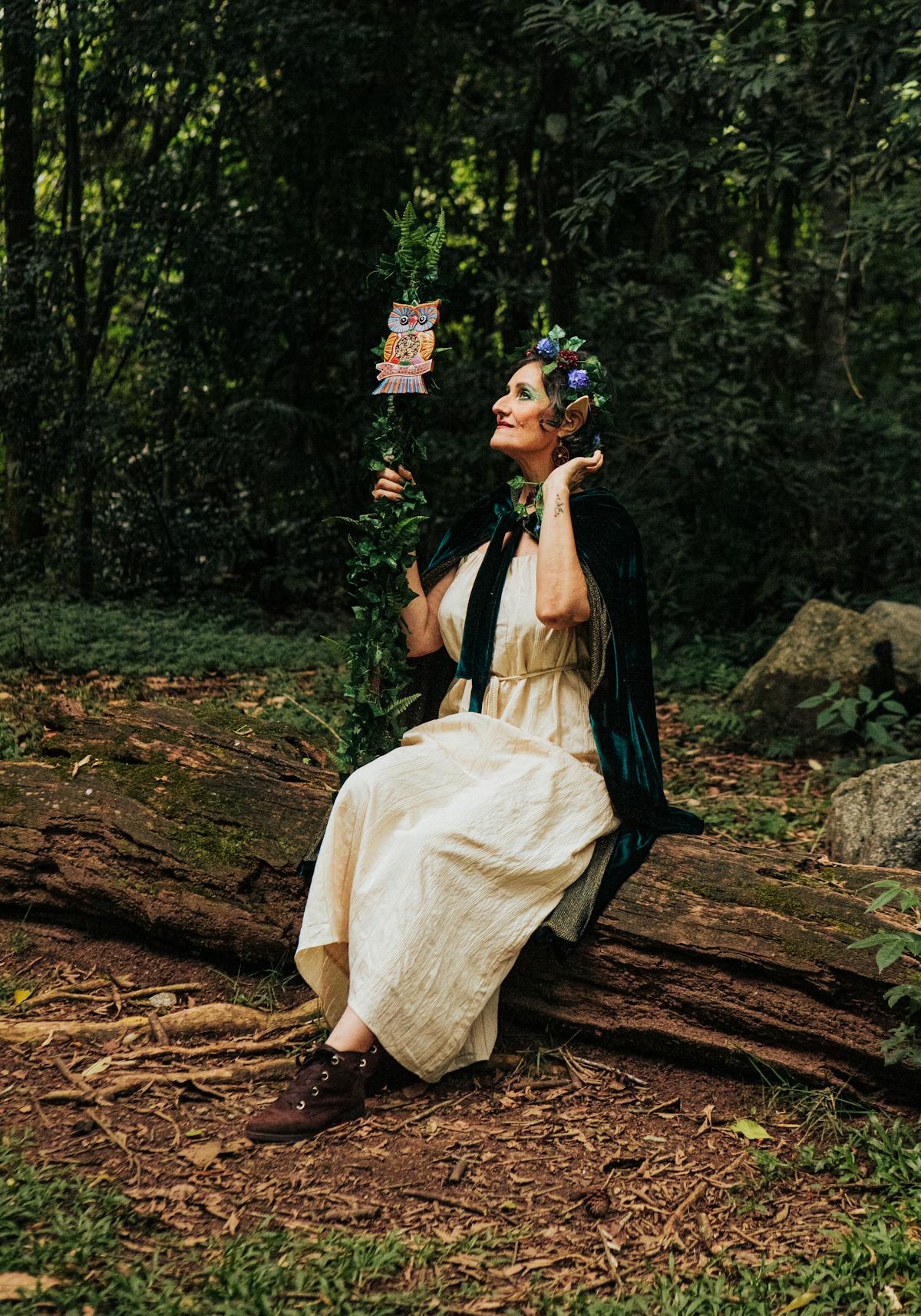 Fall Gnomes Photos, Download The BEST Free Fall Gnomes Stock Photos ...