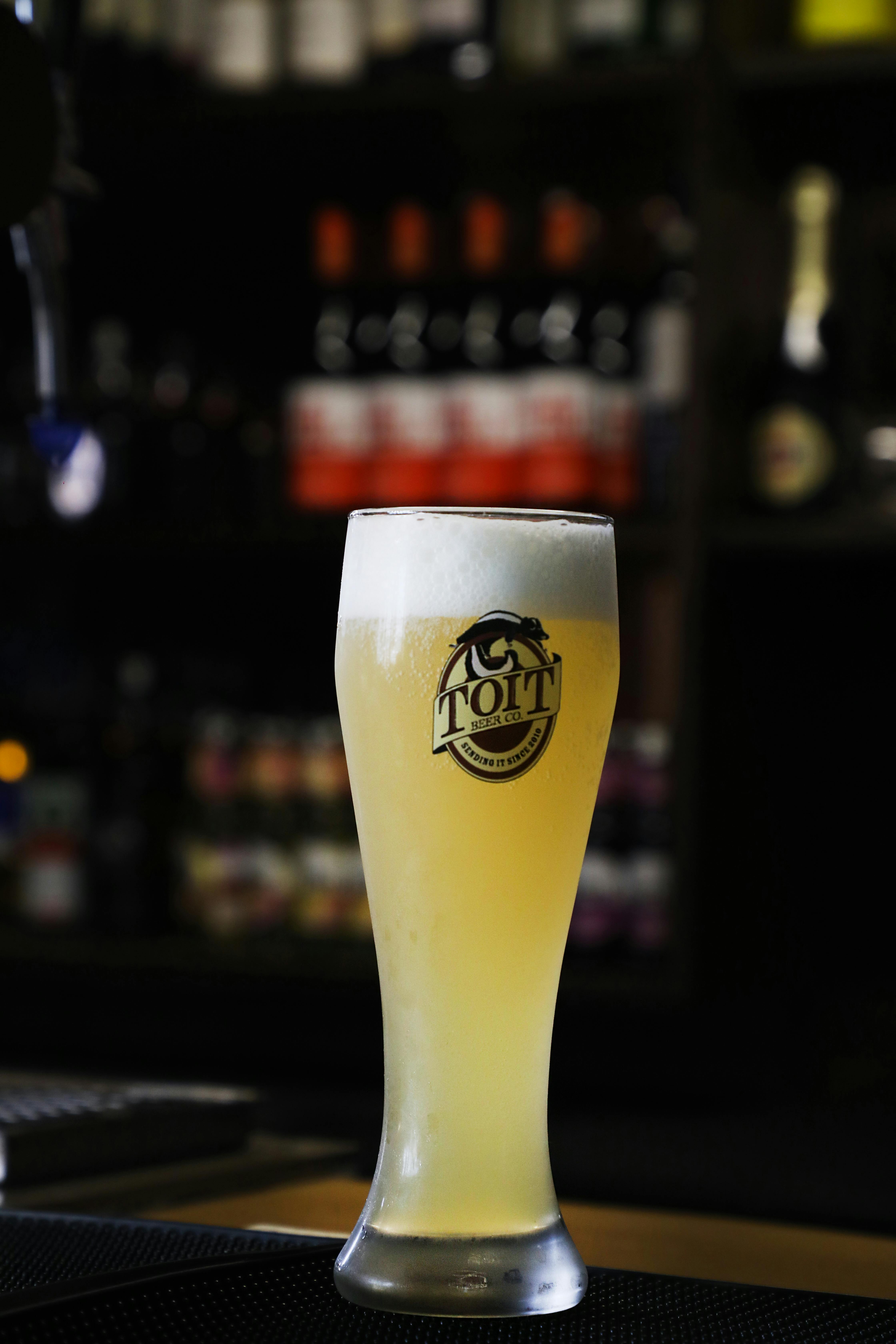 Refreshing Craft Beer at Toit Brewery · Free Stock Photo