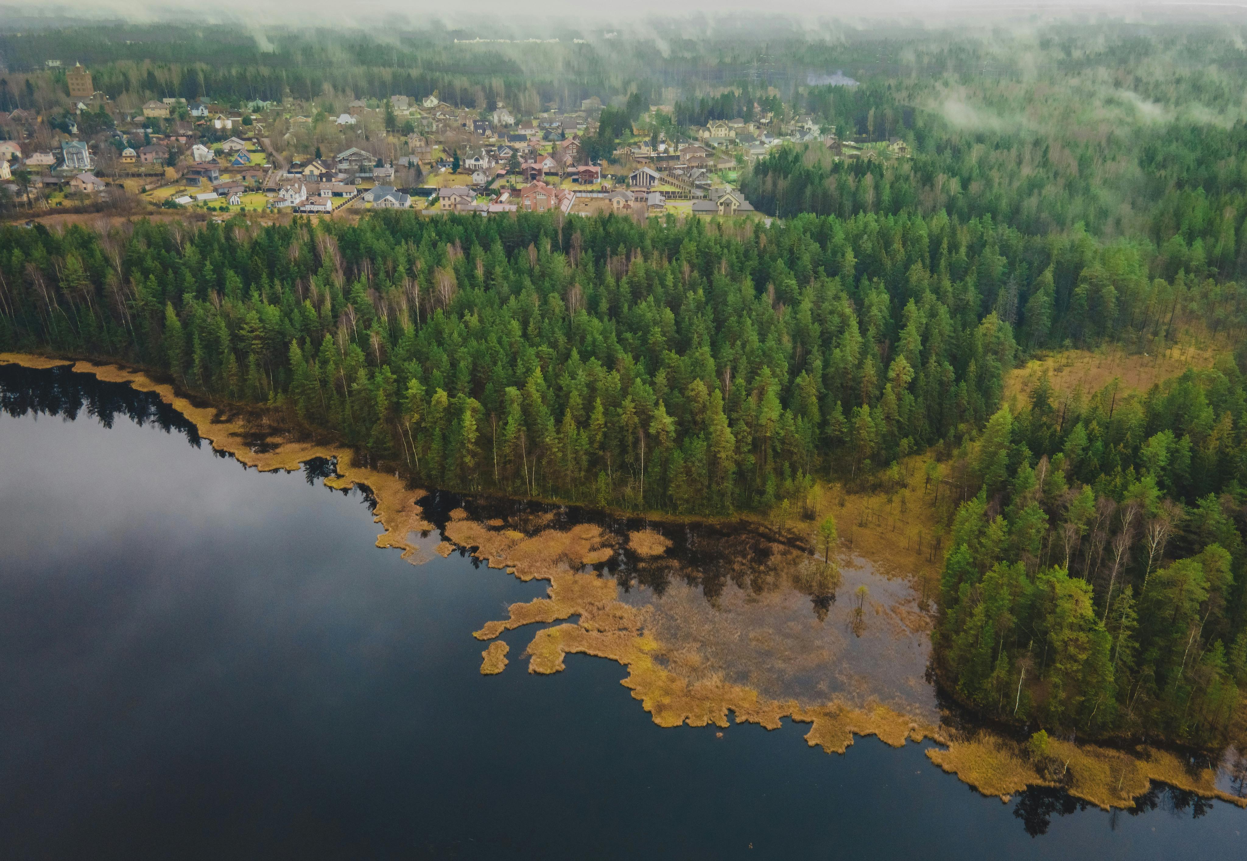 Scenic Aerial View of Forested Lake and Town · Free Stock Photo