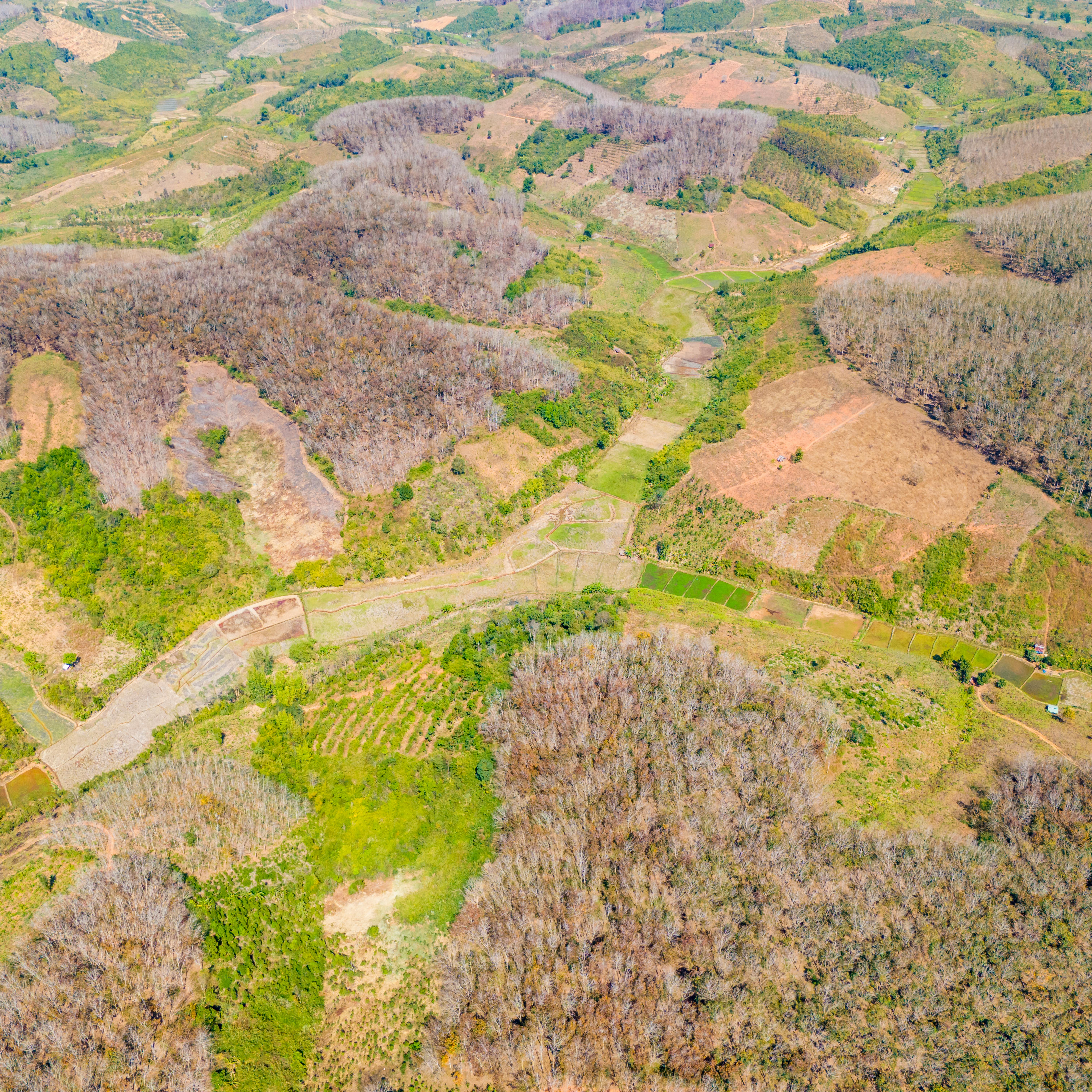 Aerial View of Kon Tum's Rolling Hills Landscape · Free Stock Photo