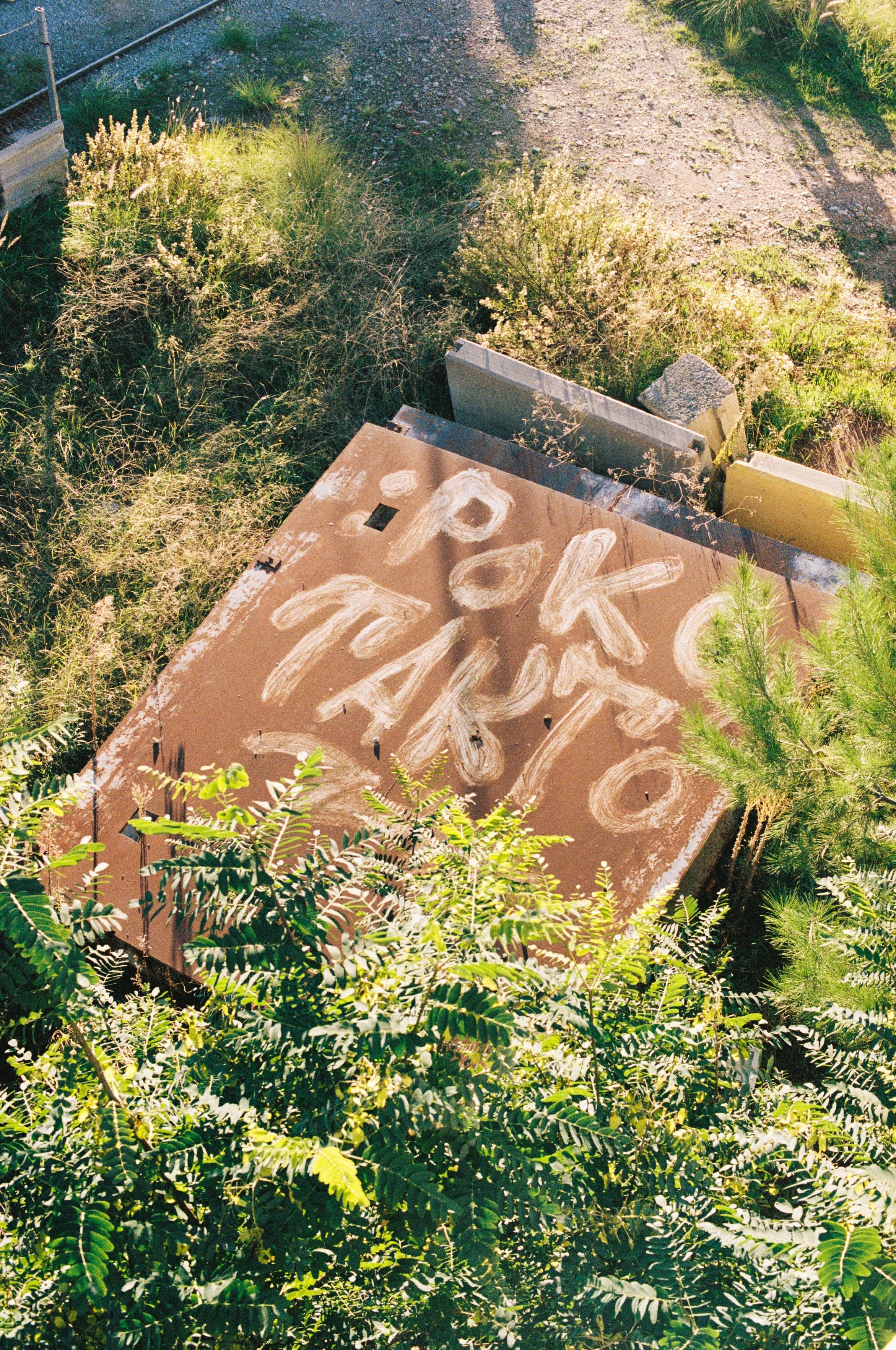 Graffiti on Rusty Surface Surrounded by Overgrown Vegetation · Free ...