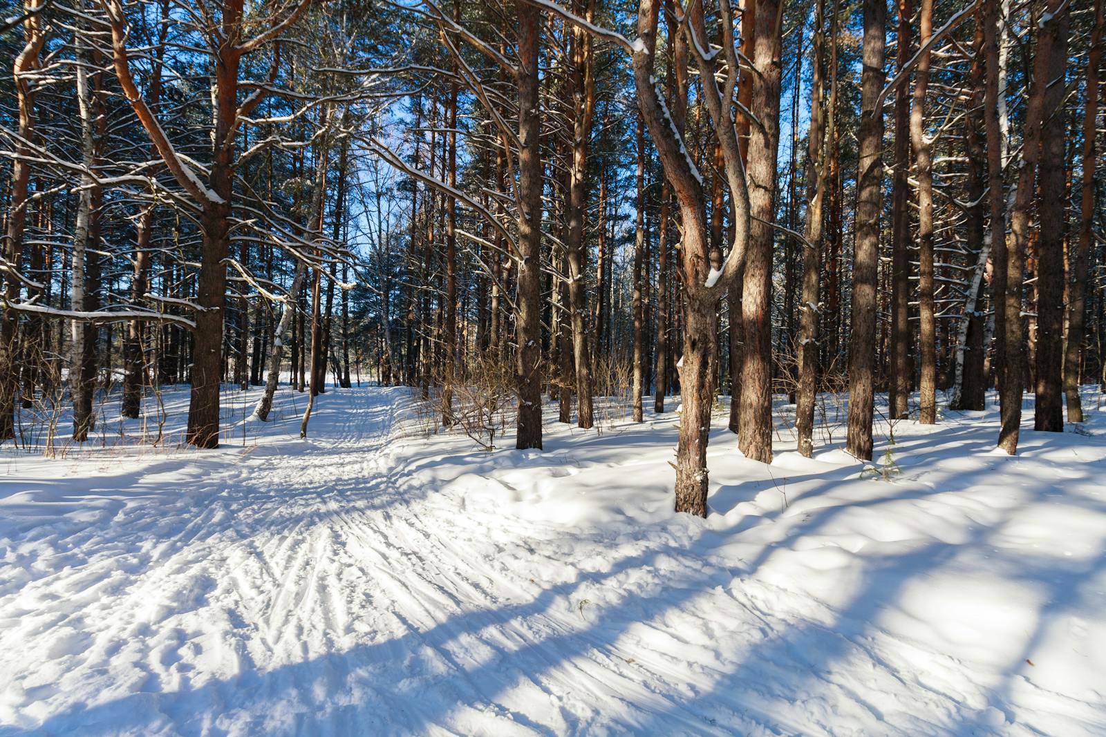 Snow Hiking Photos, Download The BEST Free Snow Hiking Stock Photos ...