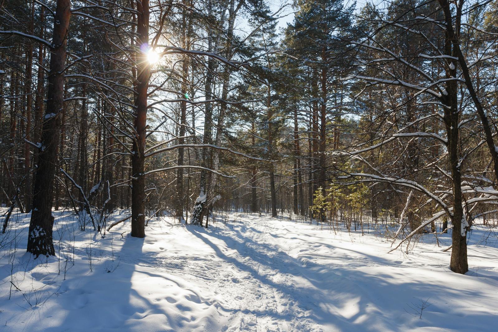 Snow Hiking Photos, Download The BEST Free Snow Hiking Stock Photos ...