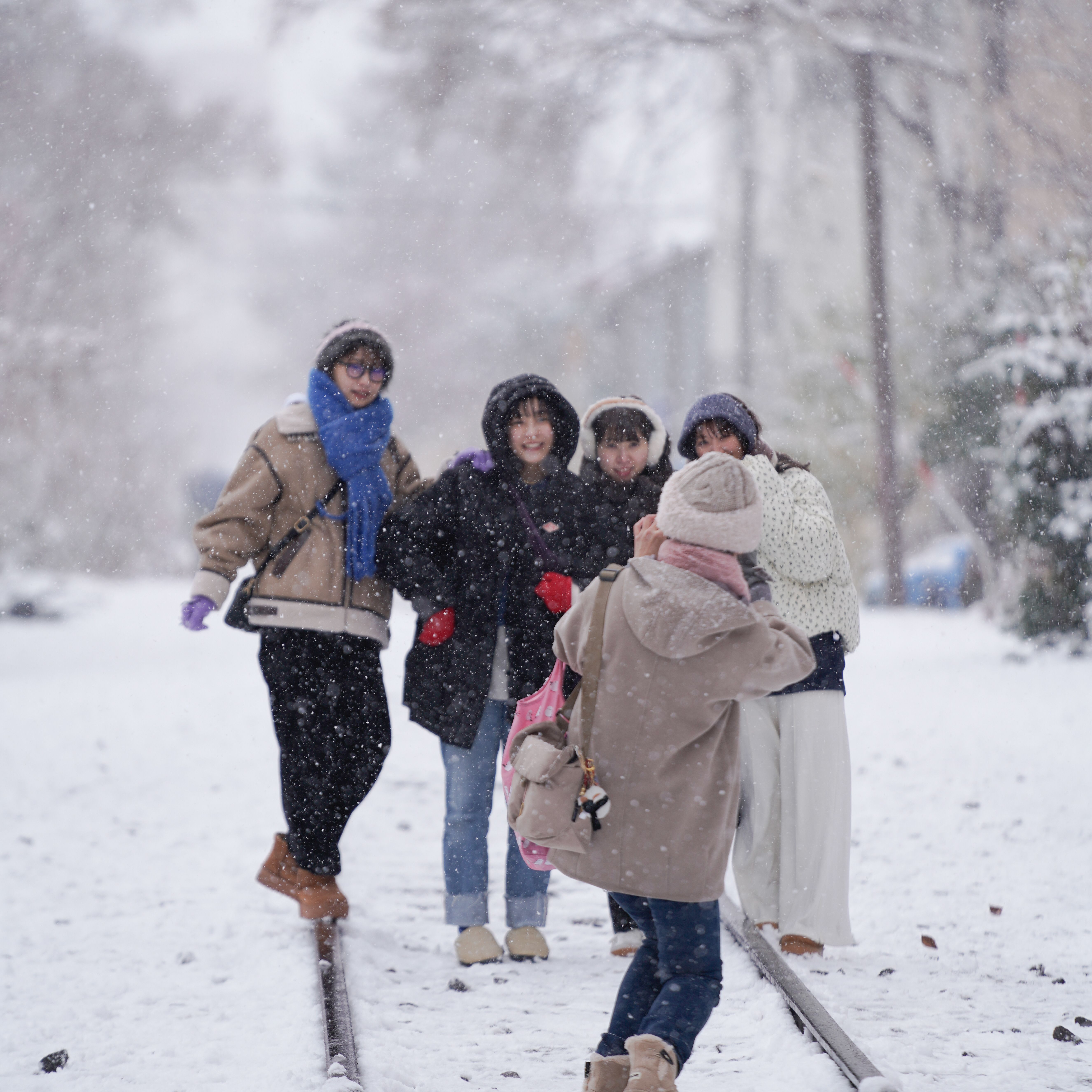 Group of Friends Posing in Scenic Snowfall · Free Stock Photo