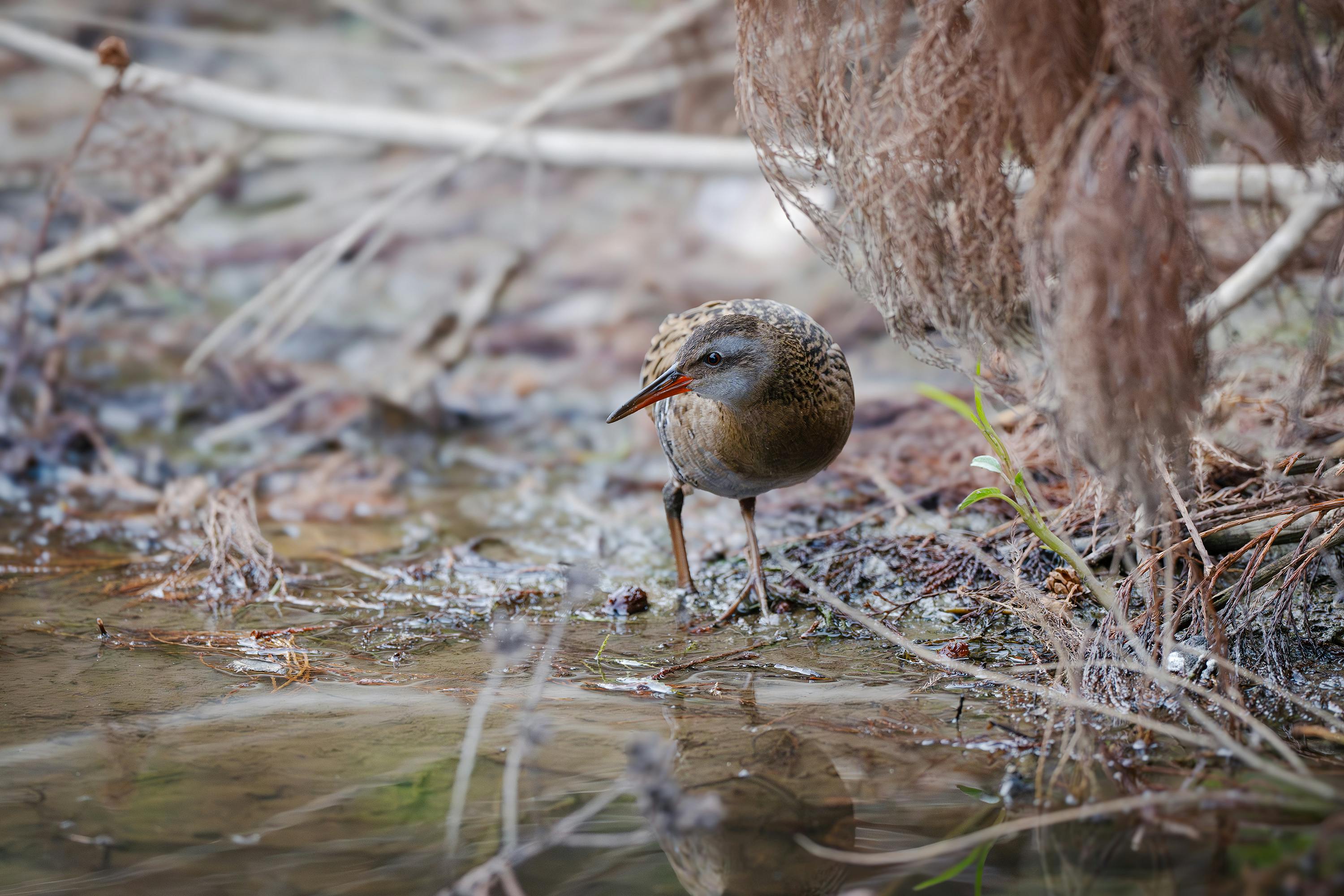 Imgsrc.Ru++Search Photos, Download The BEST Free Imgsrc.Ru++Search ...