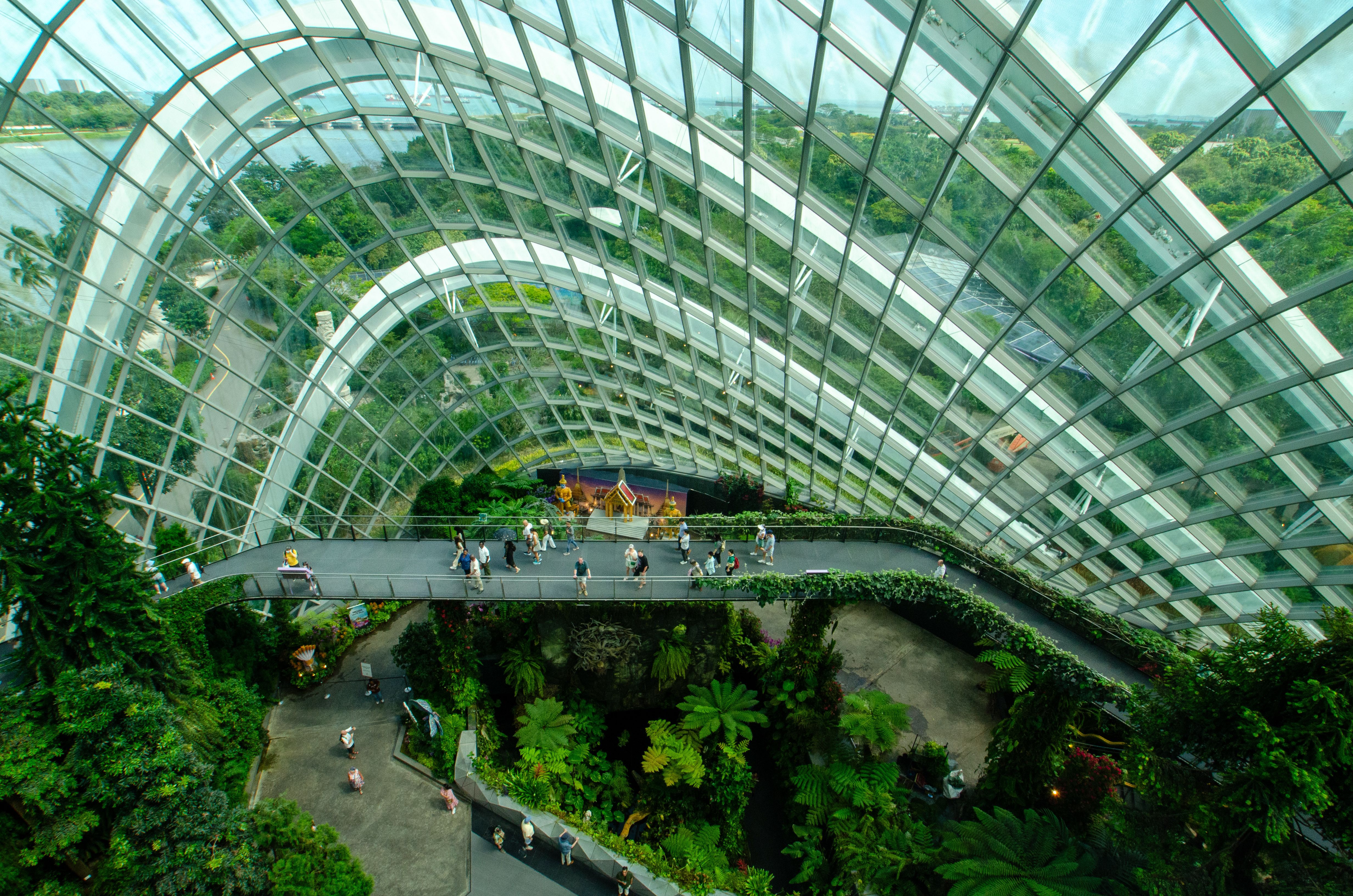 Lush Indoor Garden in Glass Conservatory · Free Stock Photo
