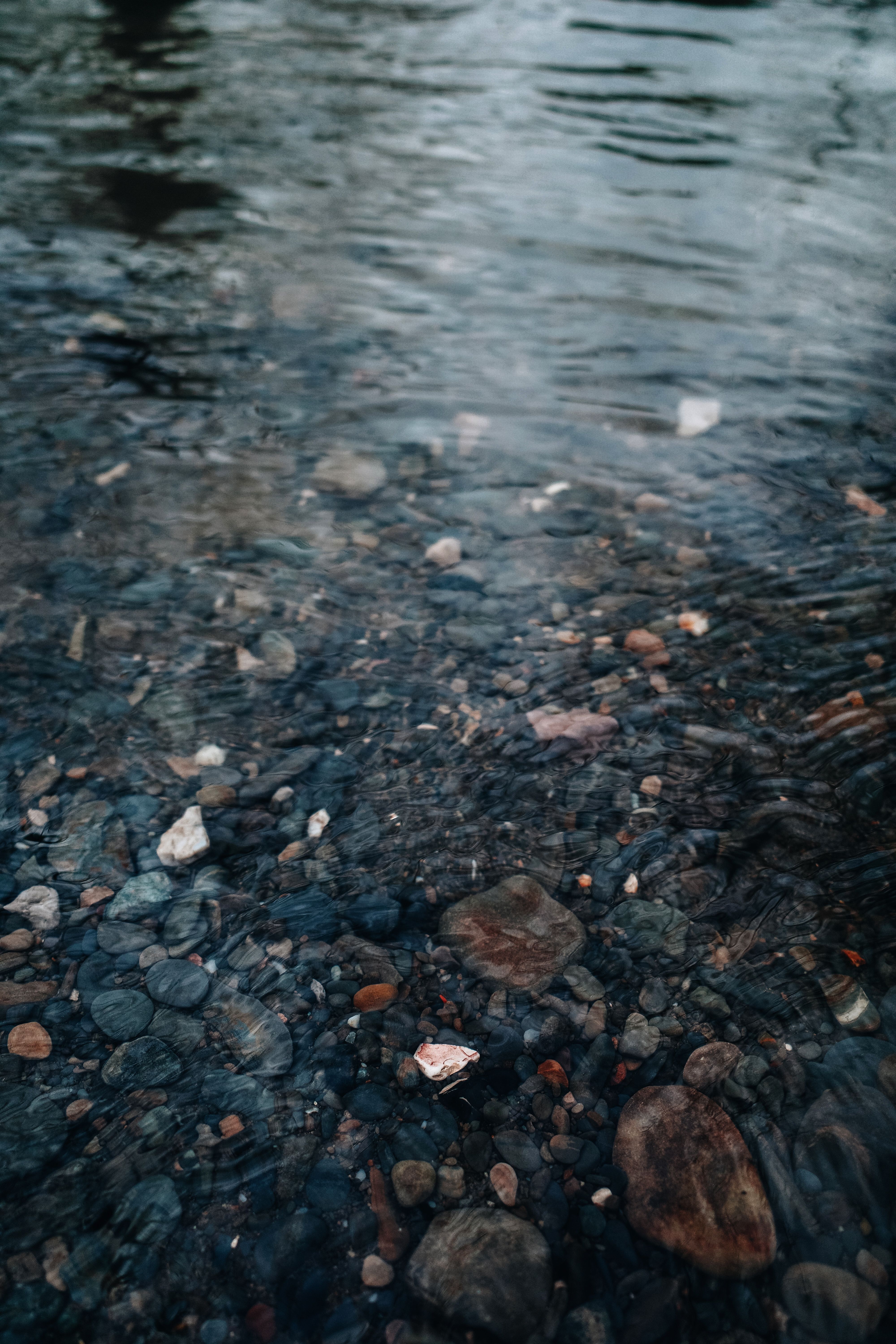 Calm River Bed with Pebbles in Clear Water · Free Stock Photo