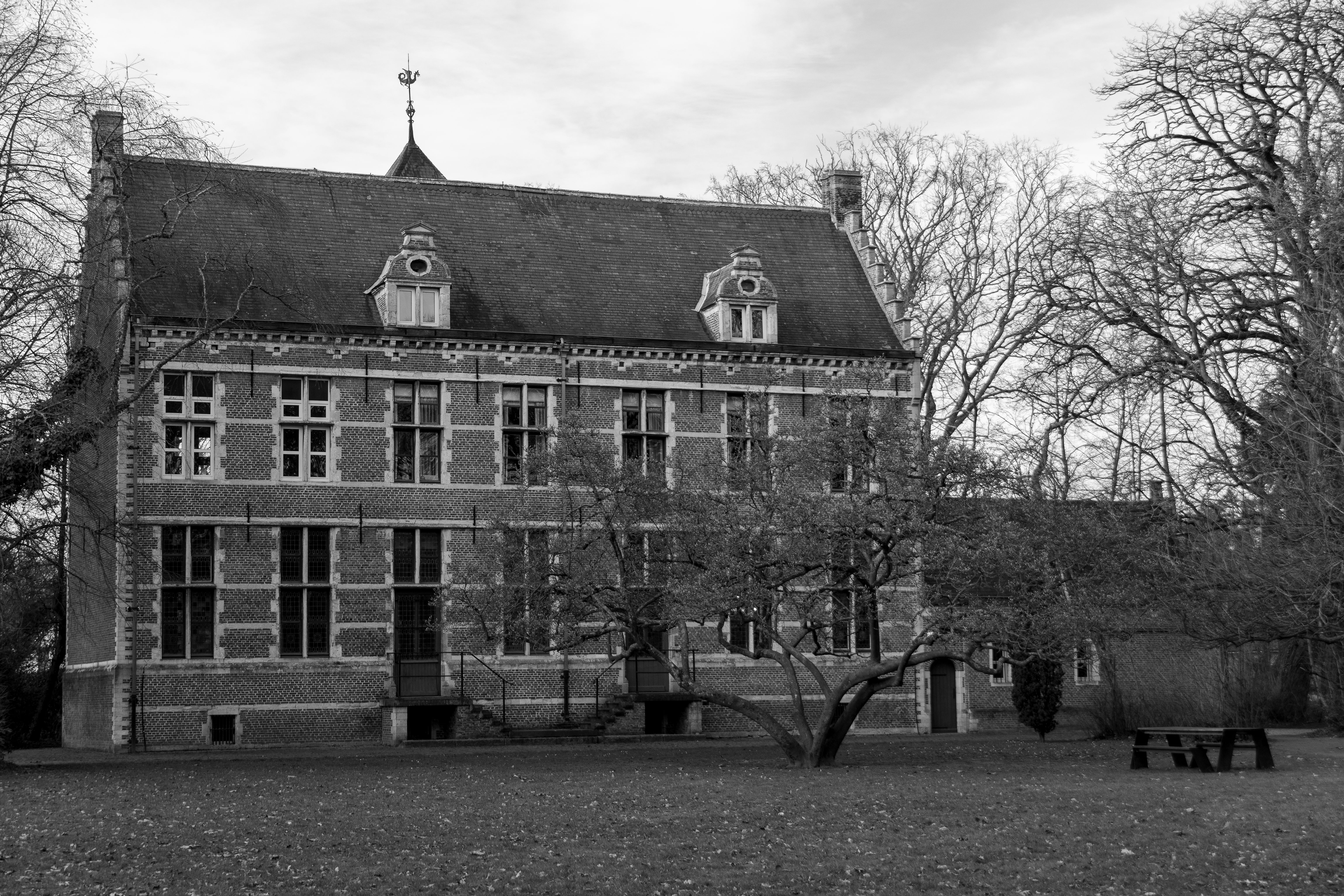 Lille Caprice Photos, Download The BEST Free Lille Caprice Stock Photos ...