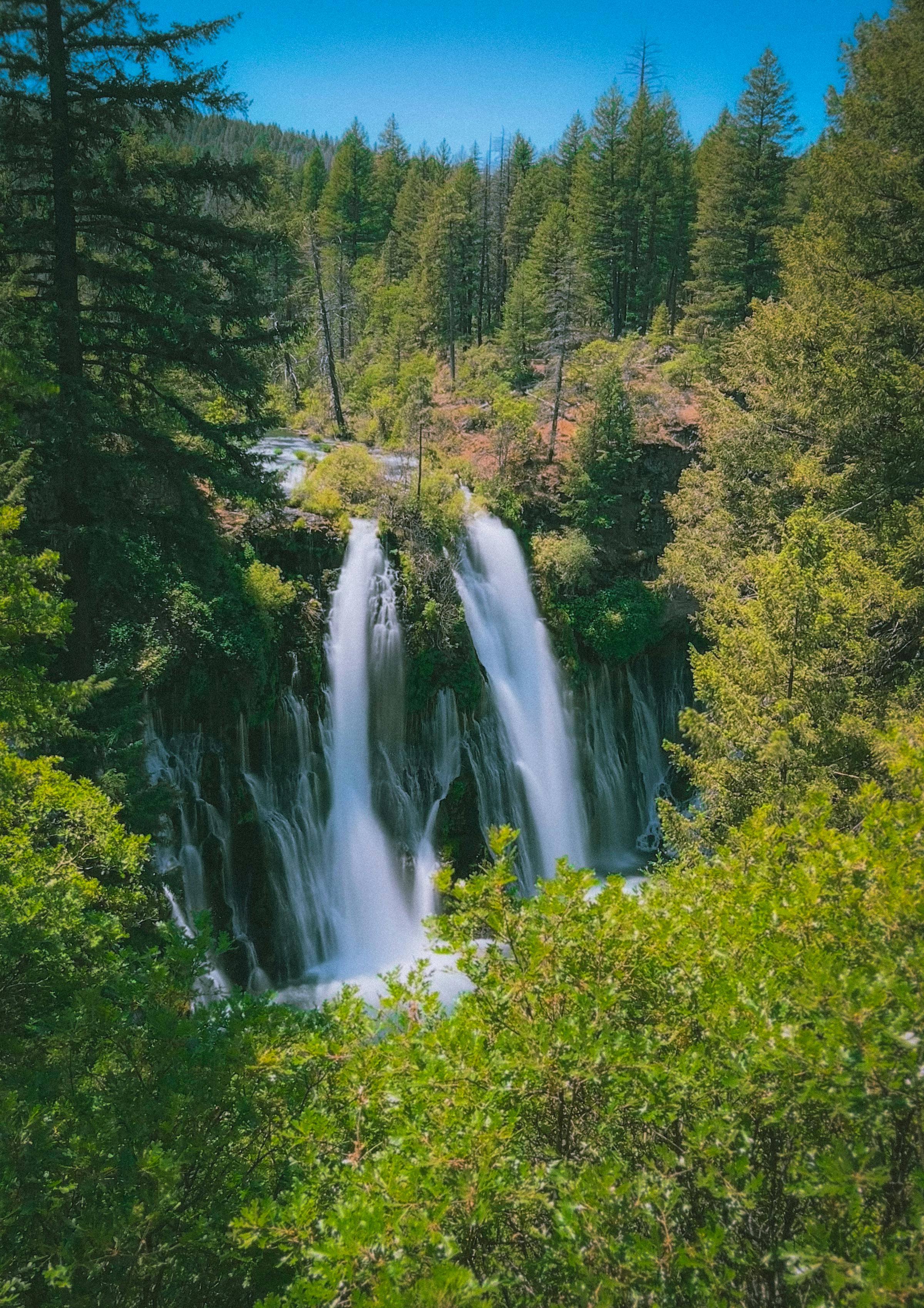 Air Terjun Megah Di Tengah Lanskap Hutan Yang Rimbun · Foto Stok Gratis