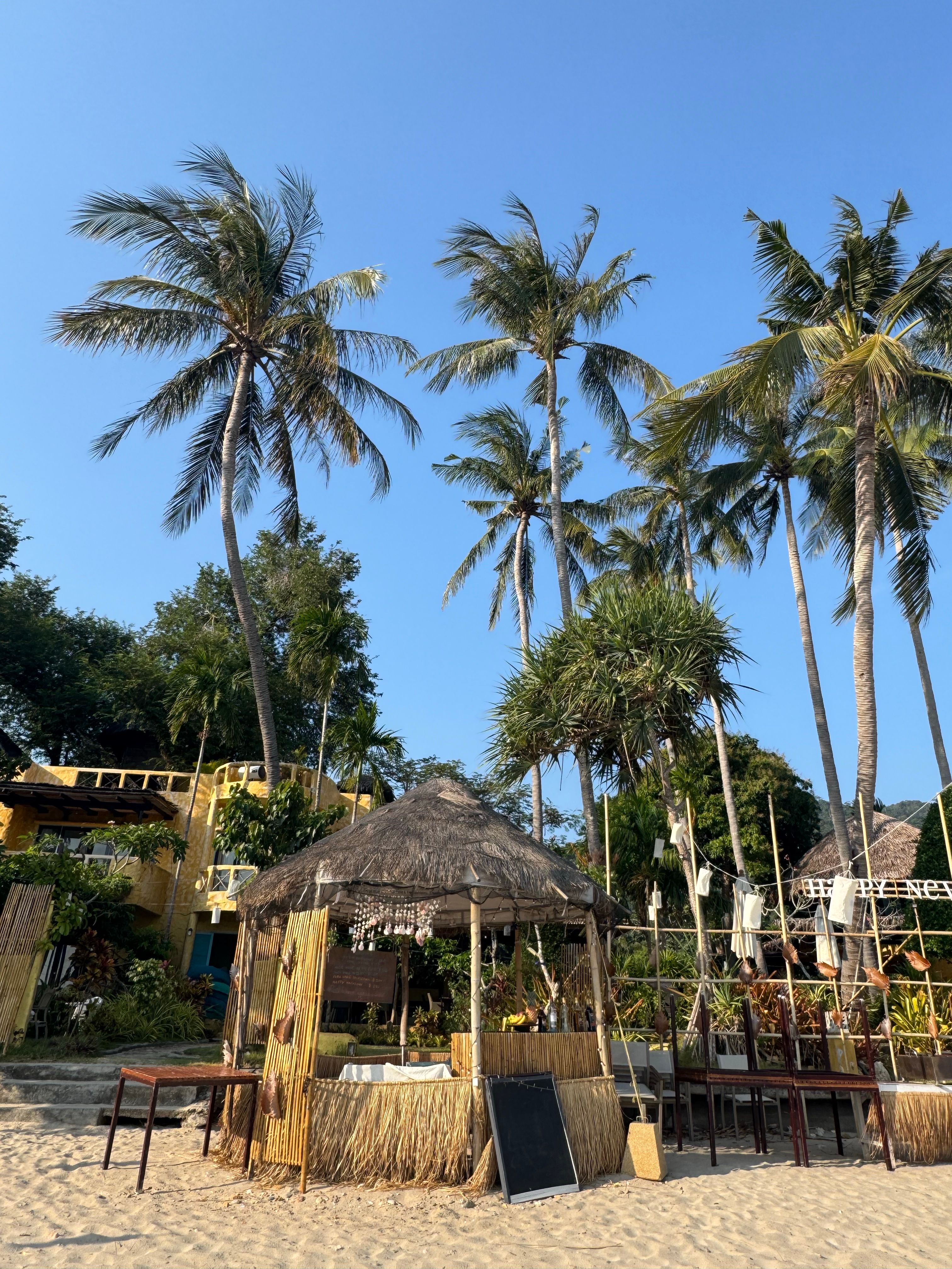 Tropical Beach Bar with Palm Trees in Summer · Free Stock Photo