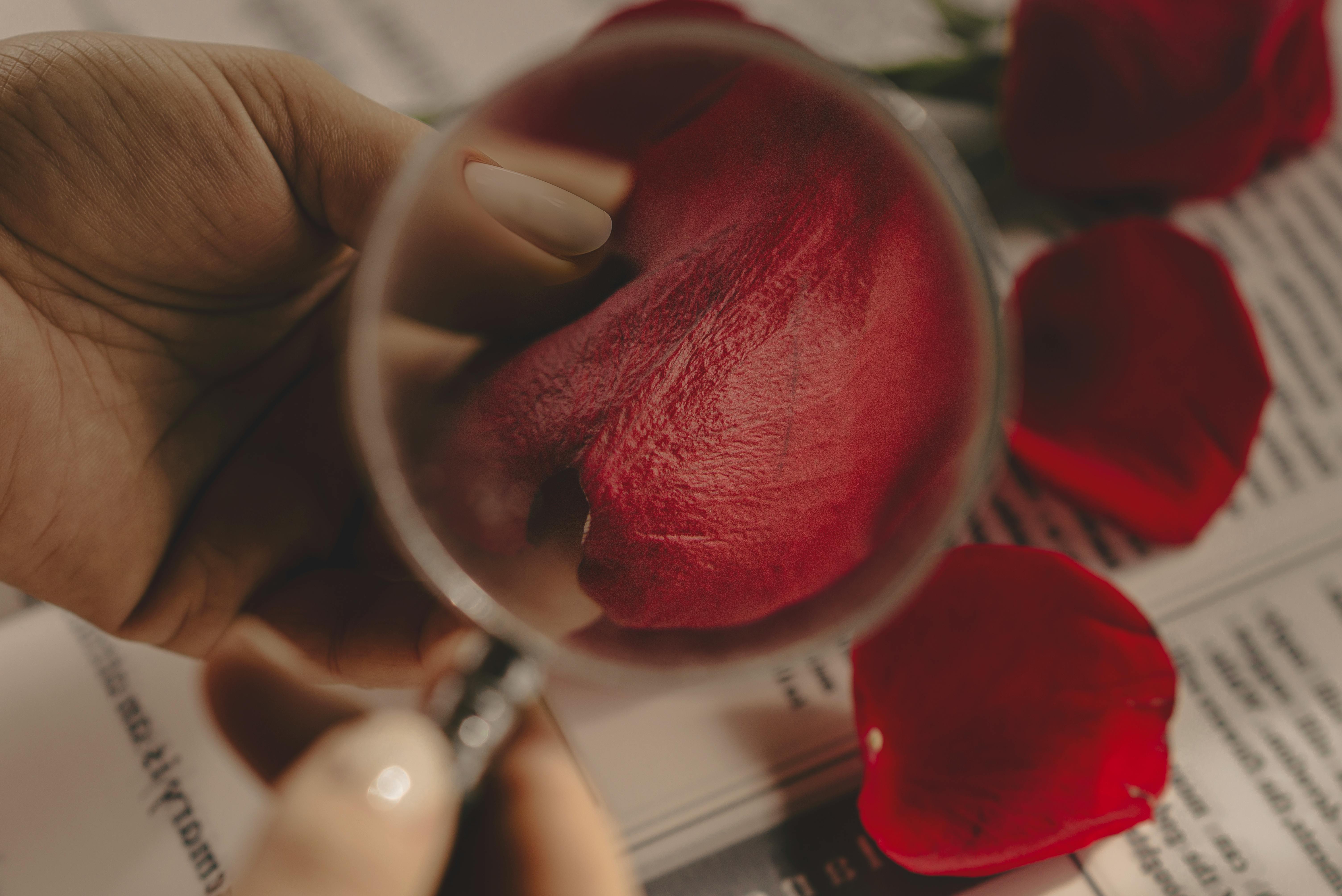 Insight's Photos, Download The BEST Free Insight's Stock Photos & HD Images