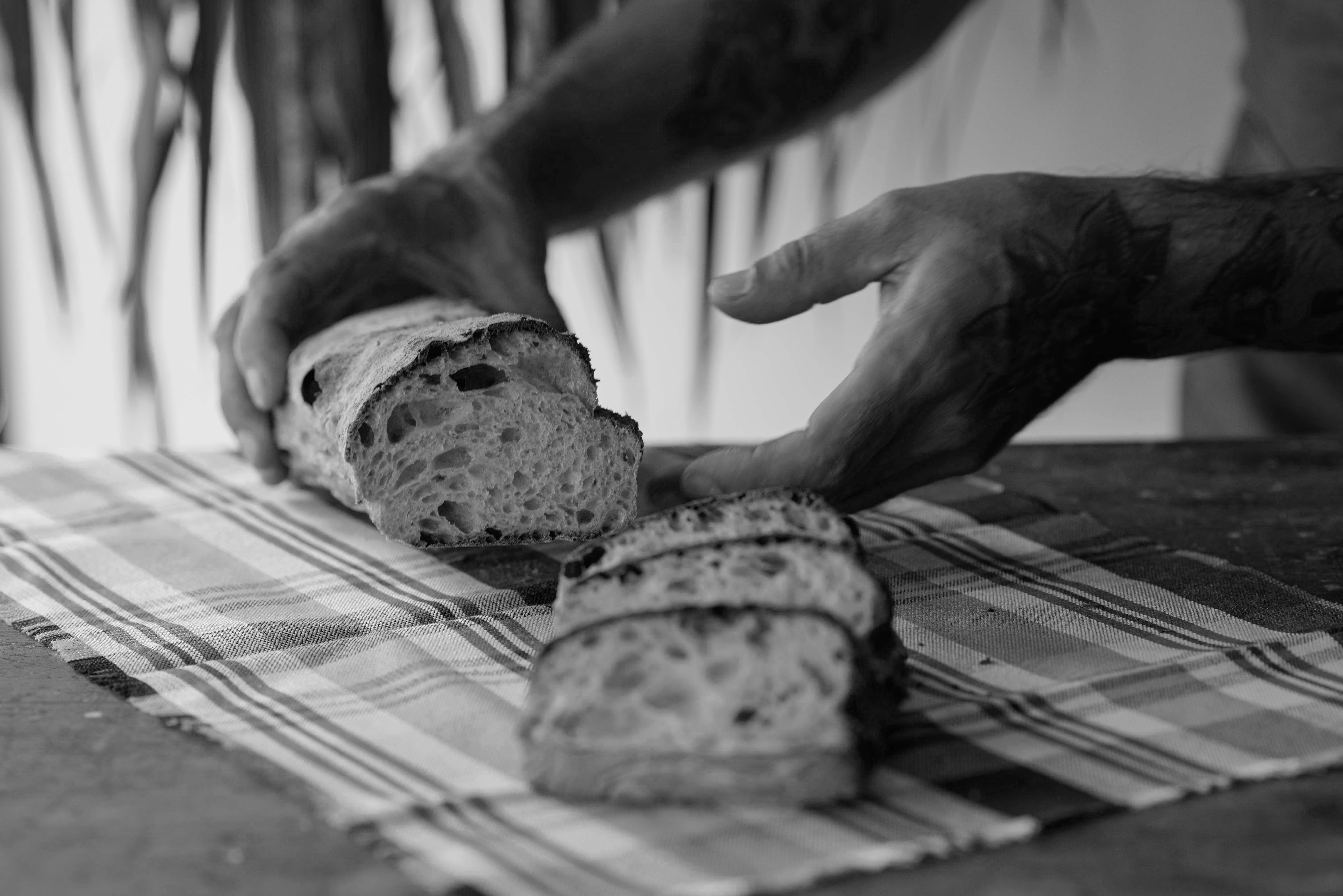 Hands Slicing Freshly Baked Artisan Bread · Free Stock Photo