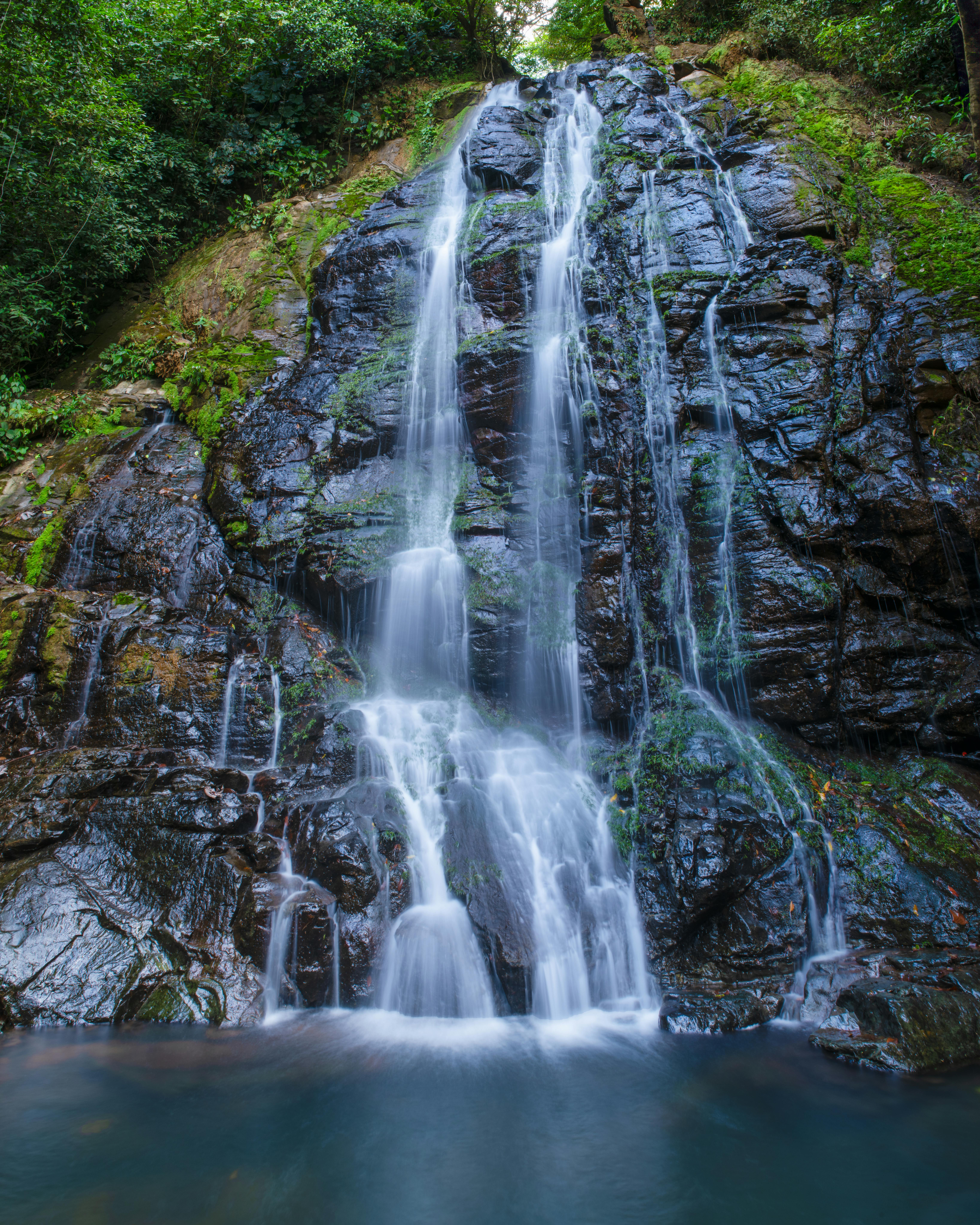 Scenic Waterfall in Lush Costa Rican Jungle · Free Stock Photo