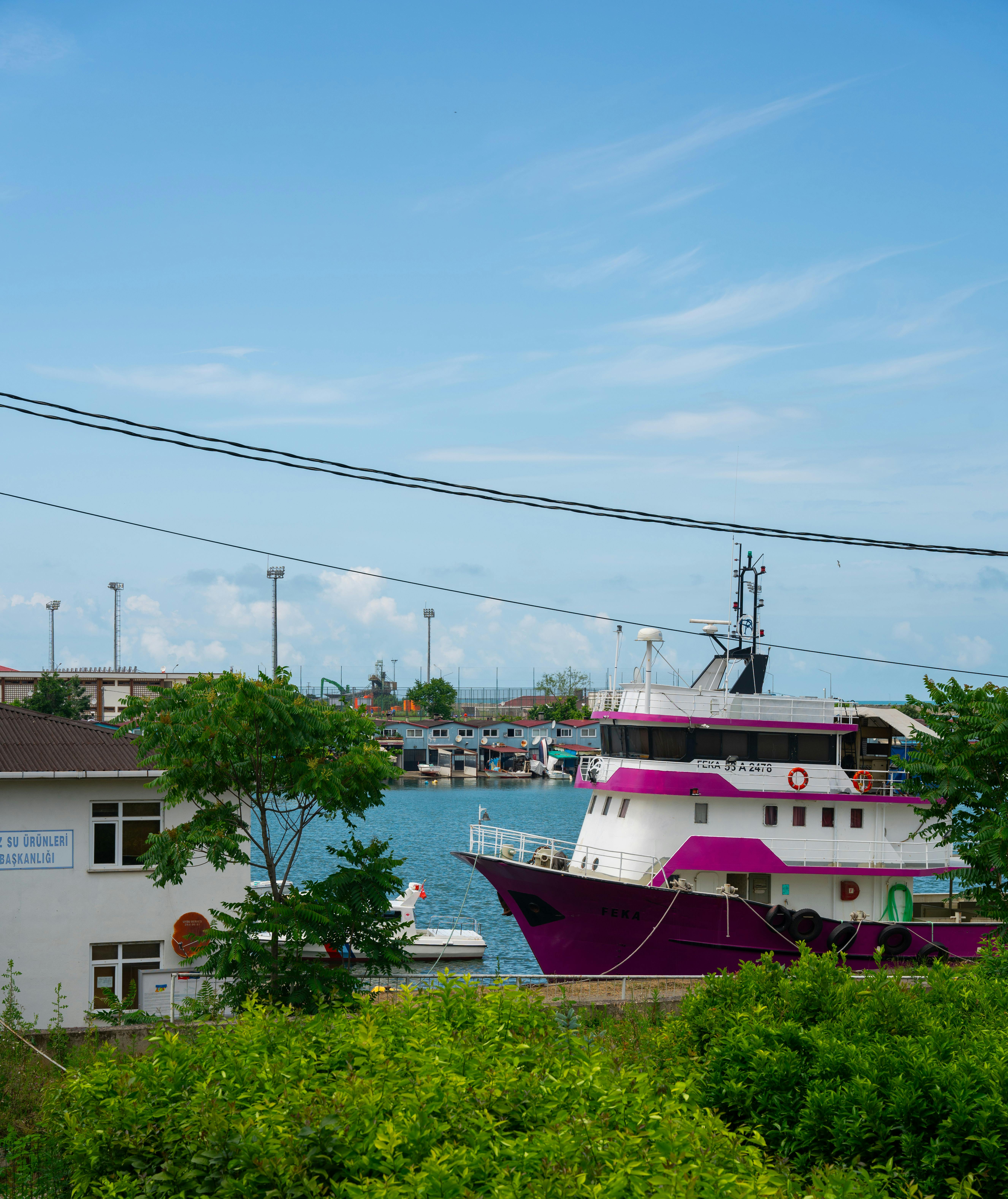 Purple Ship in Rize Harbor on a Sunny Day · Free Stock Photo