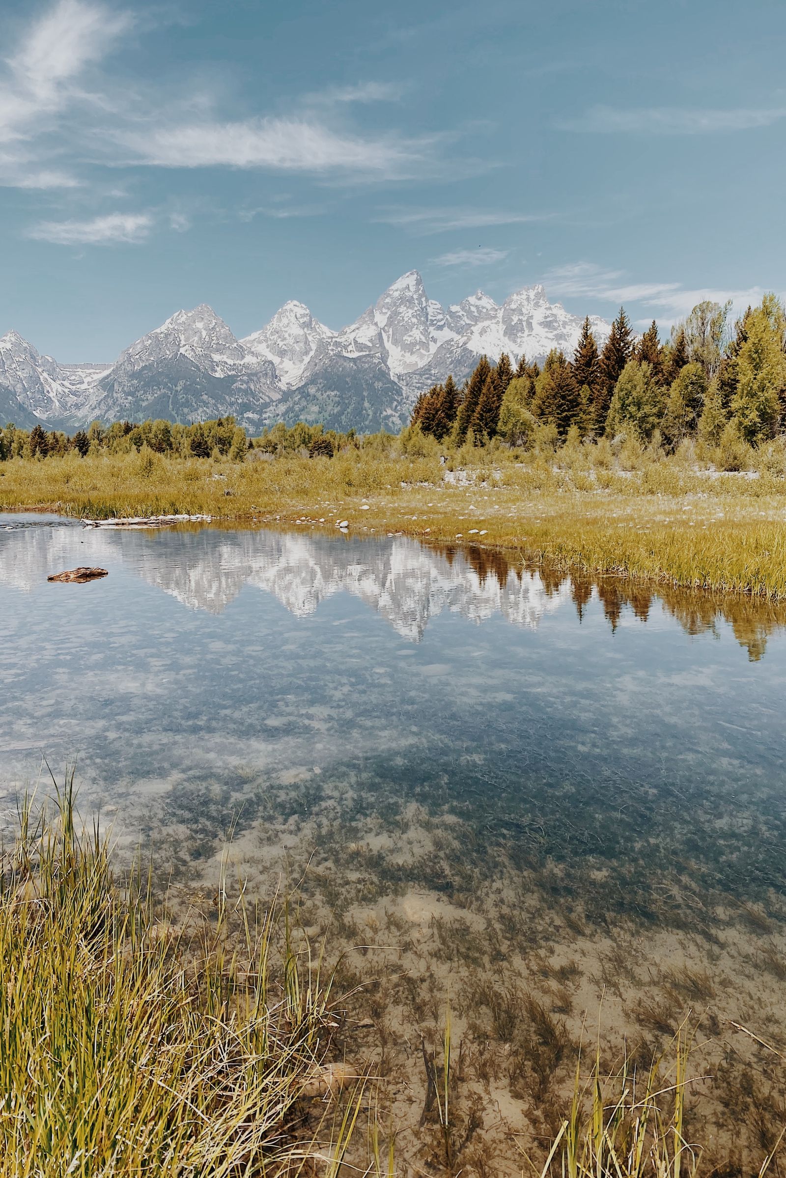 Summer Nature Photos, Download The BEST Free Summer Nature Stock Photos ...