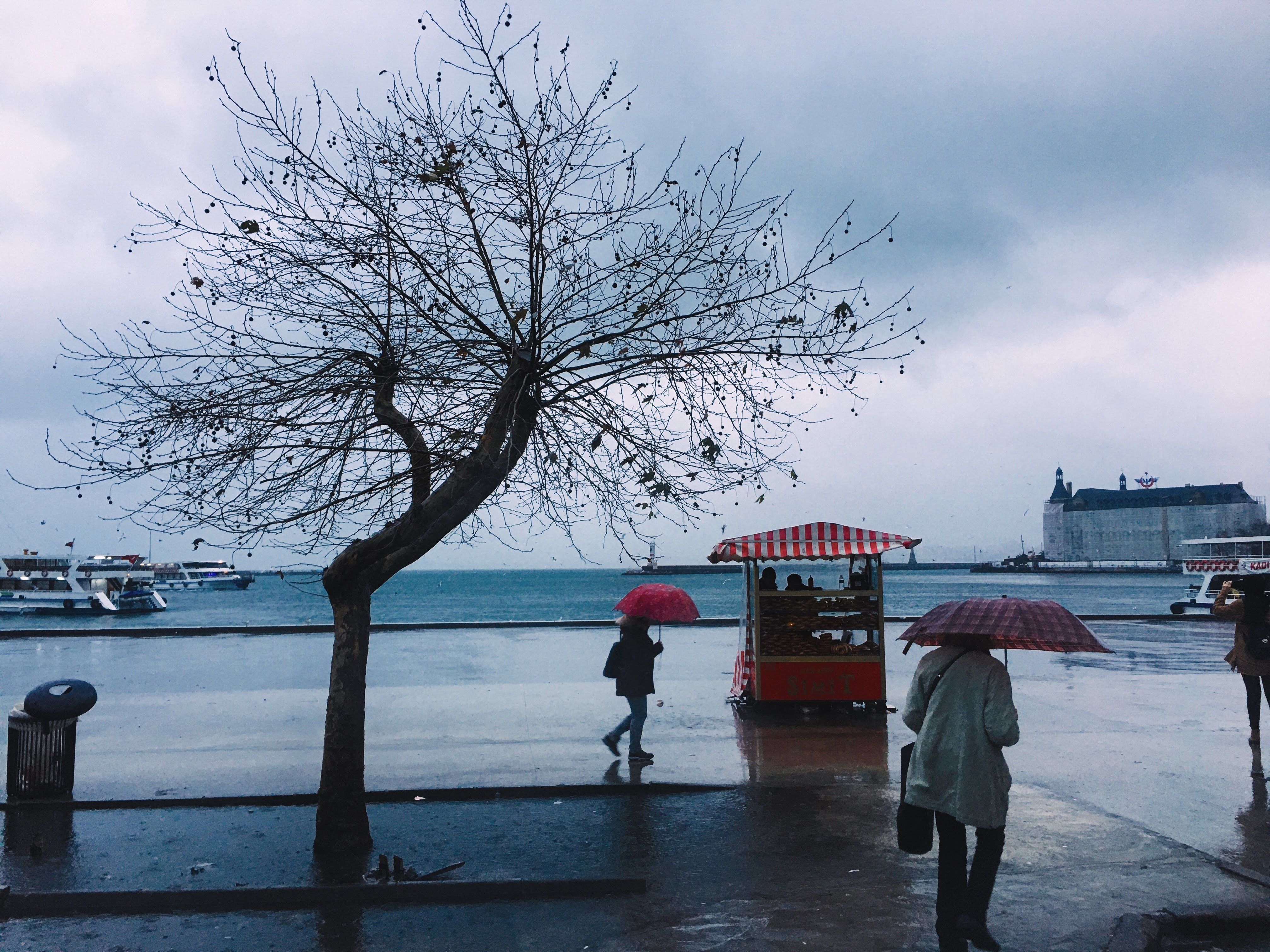 Grey Sky Photos, Download The BEST Free Grey Sky Stock Photos & HD Images