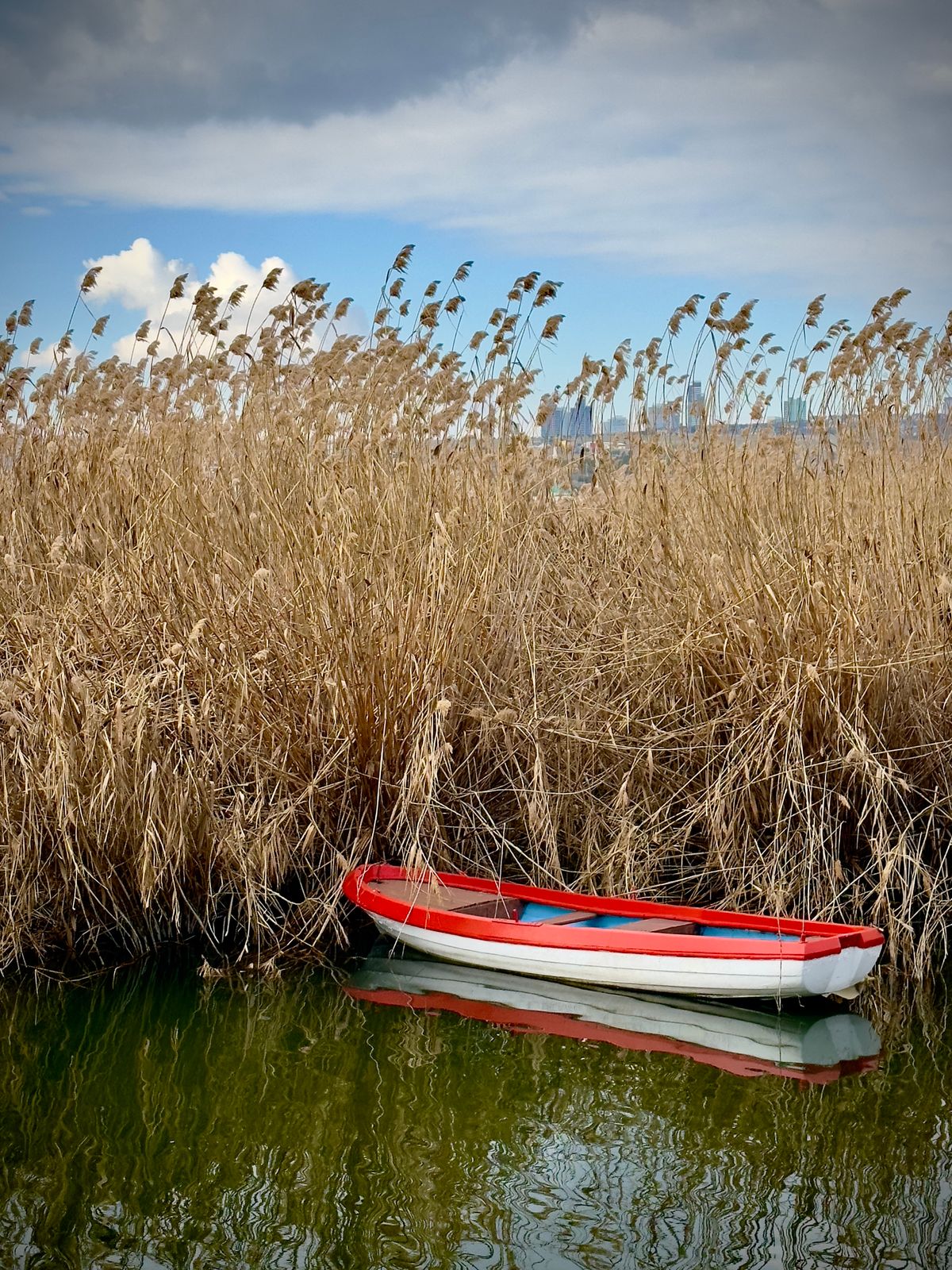 River Boat Photos, Download The BEST Free River Boat Stock Photos & HD ...
