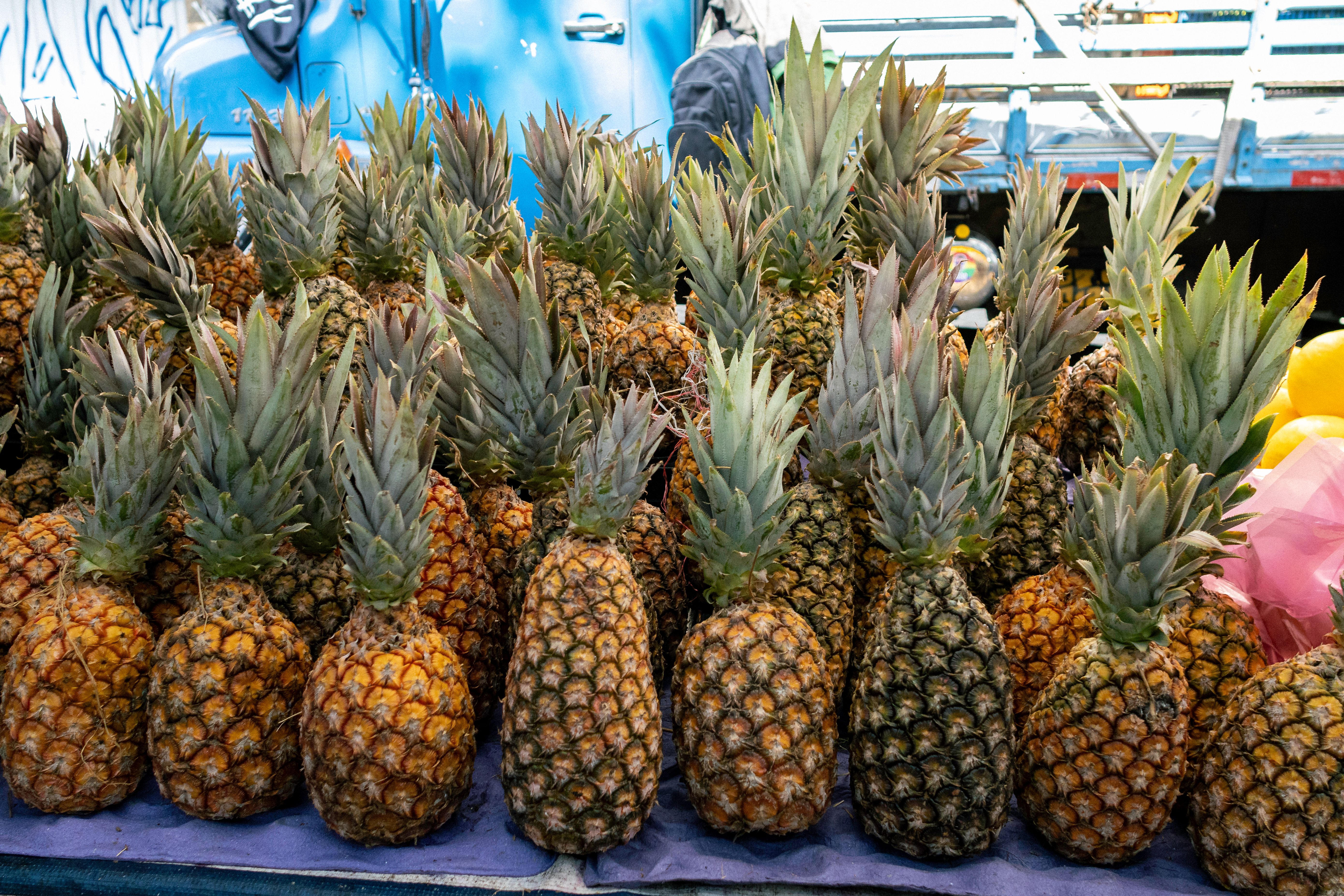 Multiple Pineapples Photos, Download The BEST Free Multiple Pineapples ...