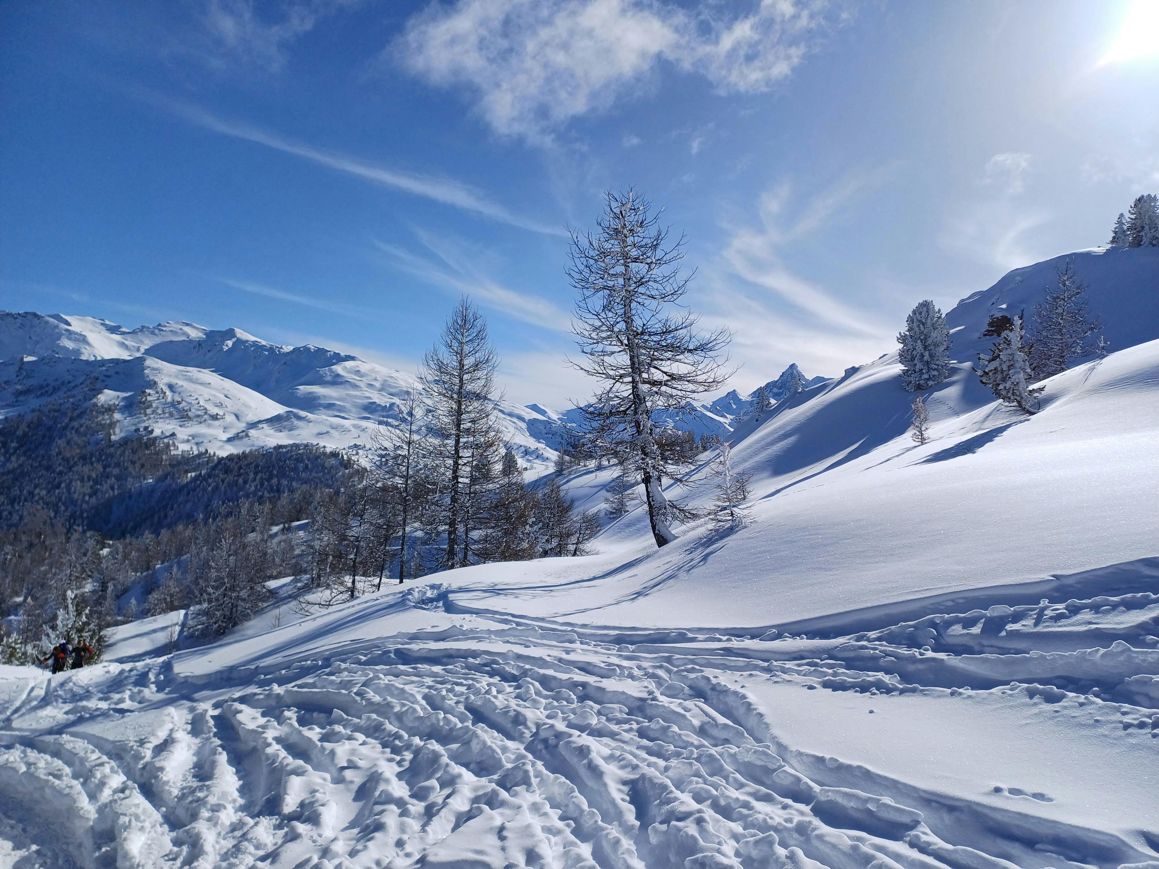 Scenic Alpine Winter Landscape with Snowy Mountains · Free Stock Photo