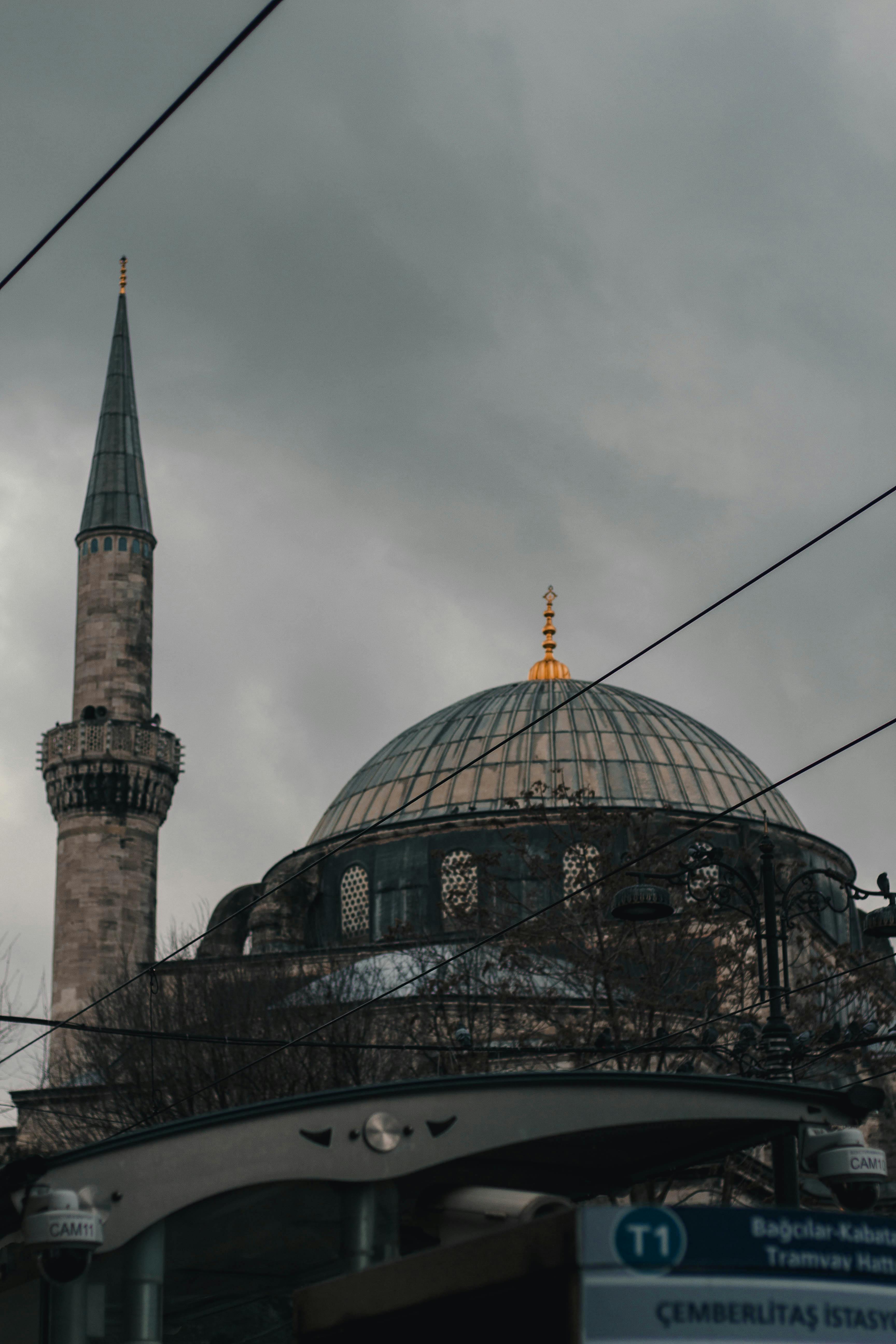 Tela Turk Photos, Download The BEST Free Tela Turk Stock Photos & HD Images