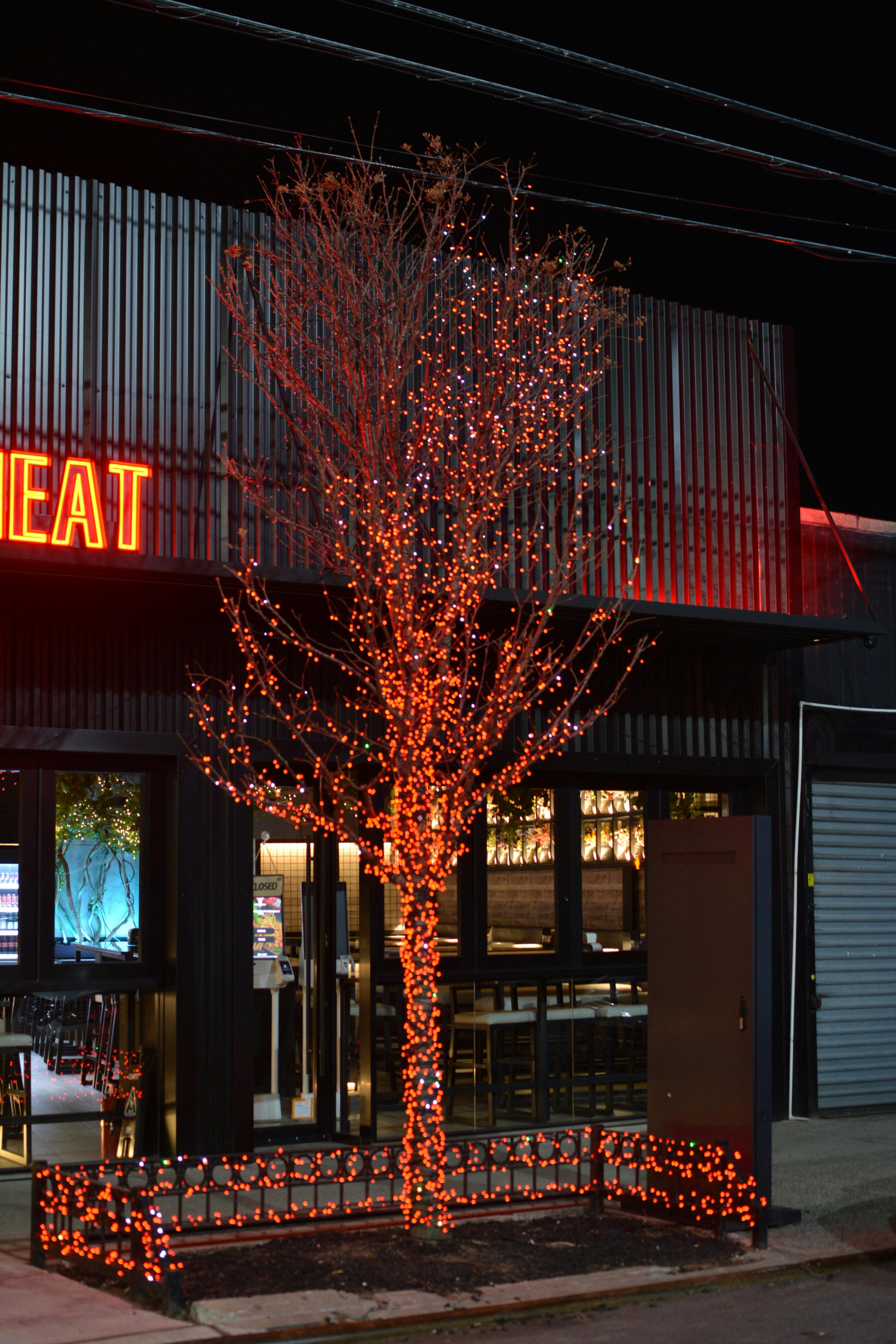 Dining Cafe Photos, Download The BEST Free Dining Cafe Stock Photos ...