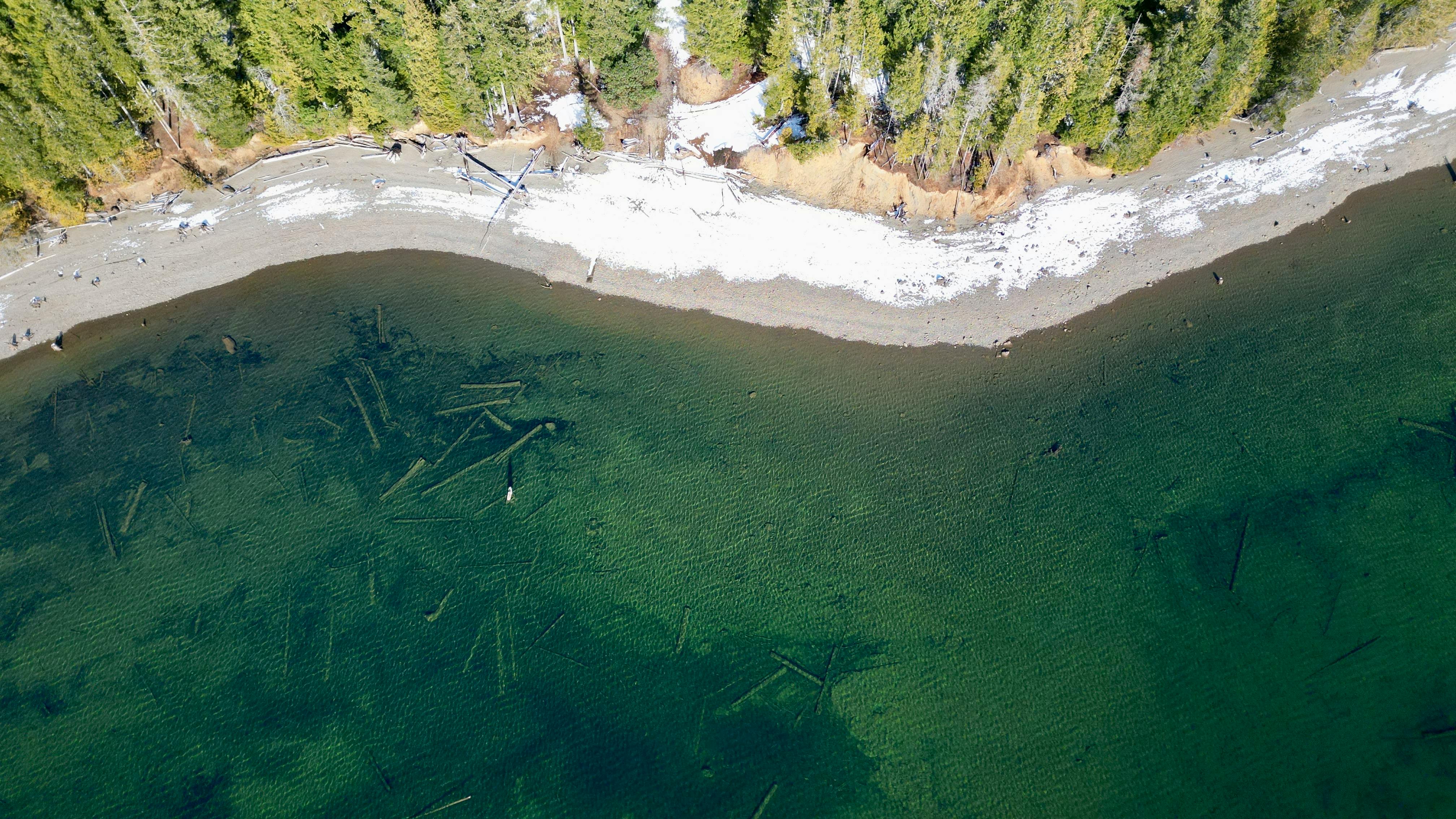 Beach And Forest Photos, Download The BEST Free Beach And Forest Stock ...