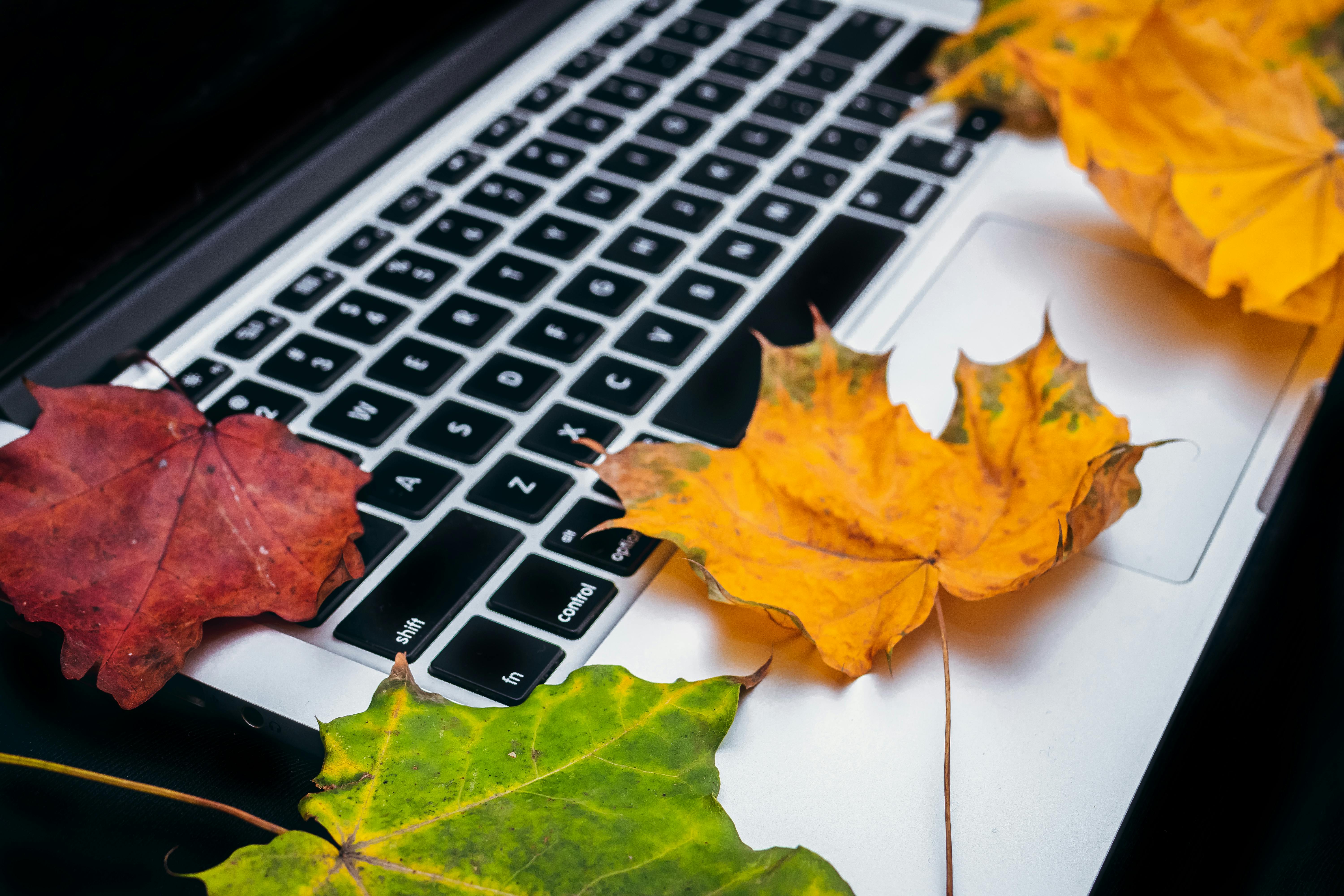 Brown Maple Leaf On A Laptop · Free Stock Photo