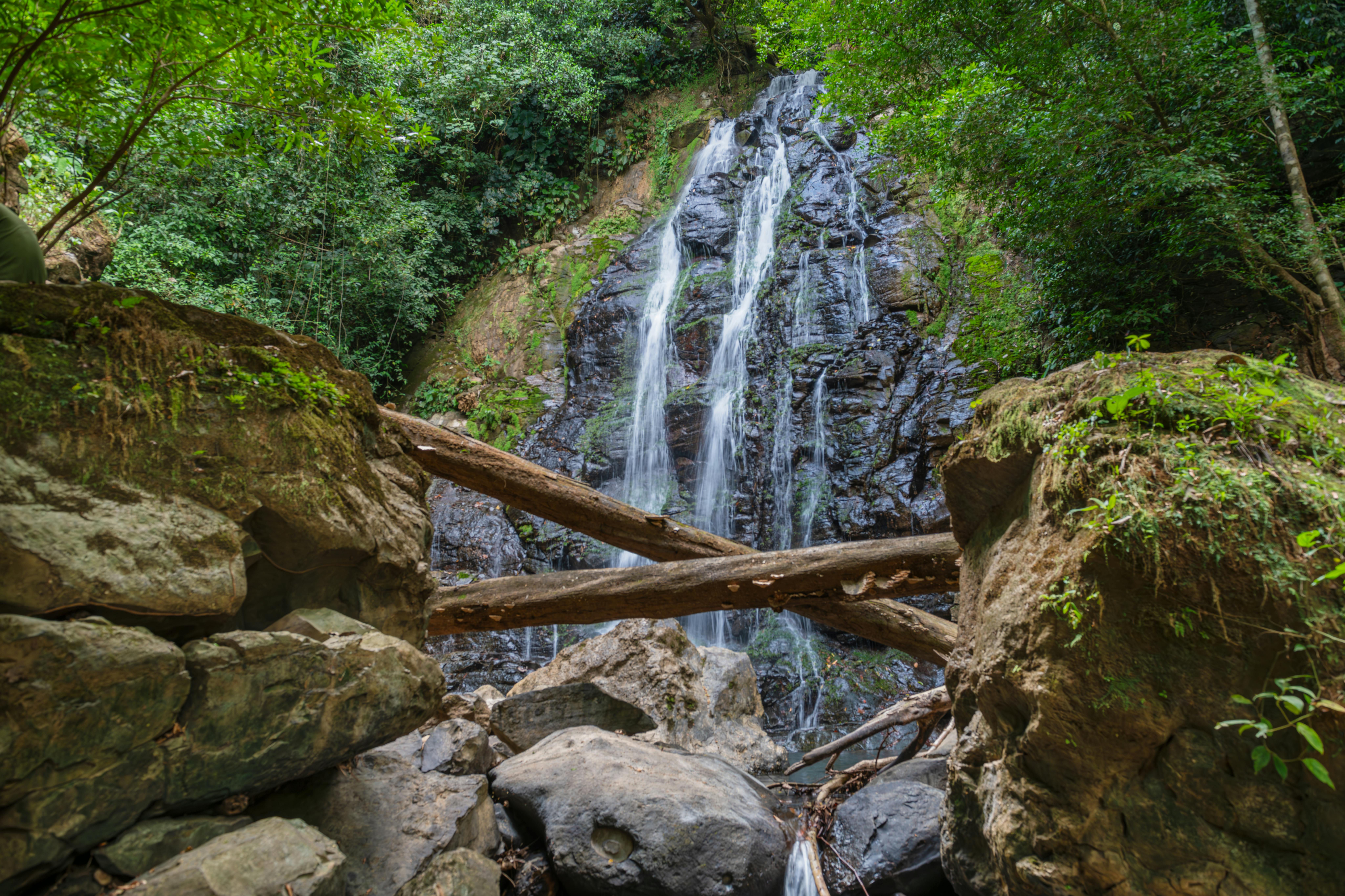 Serene Waterfall Amidst Lush Greenery in Costa Rica · Free Stock Photo