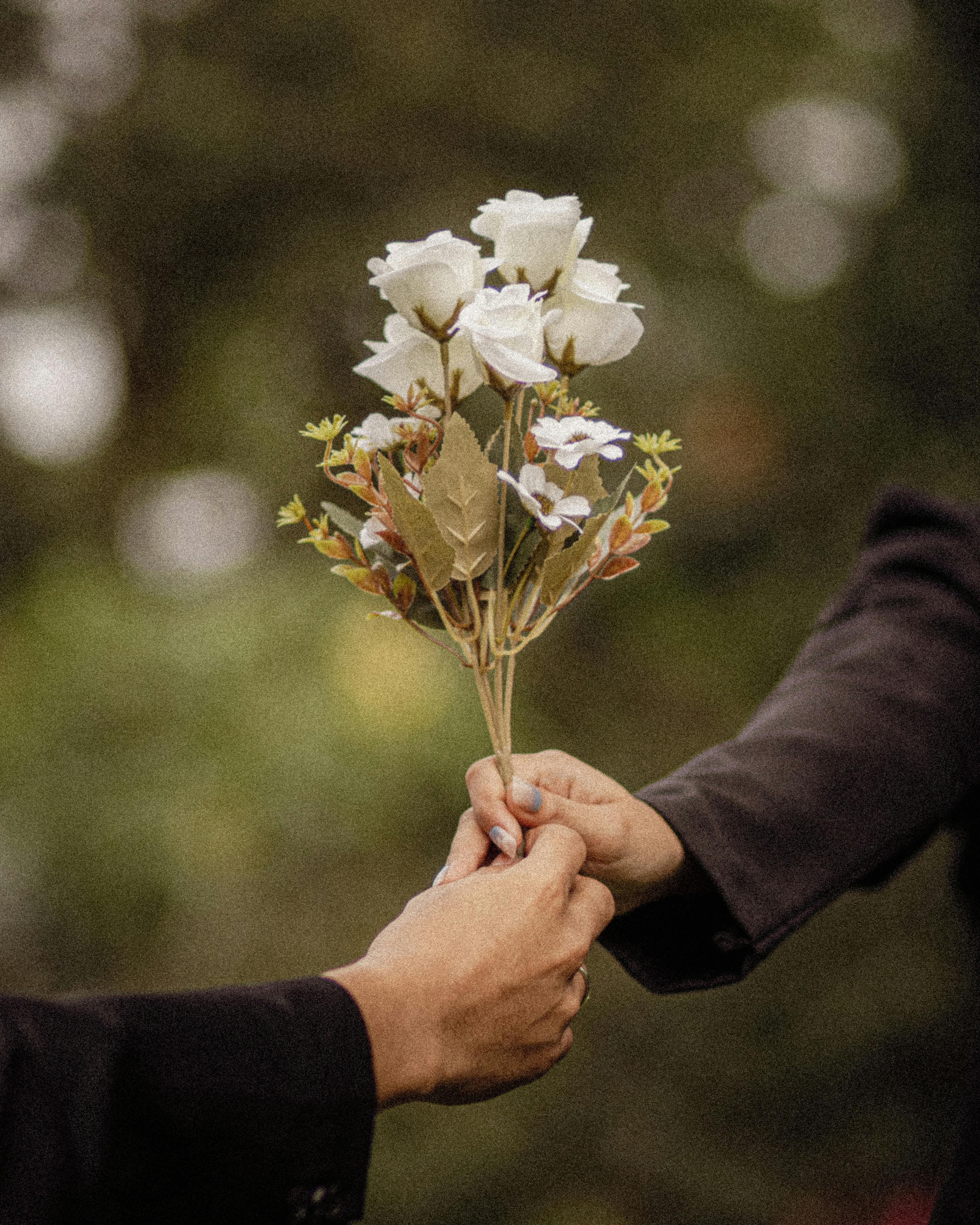 Romantic Gesture with White Flowers in Nature · Free Stock Photo