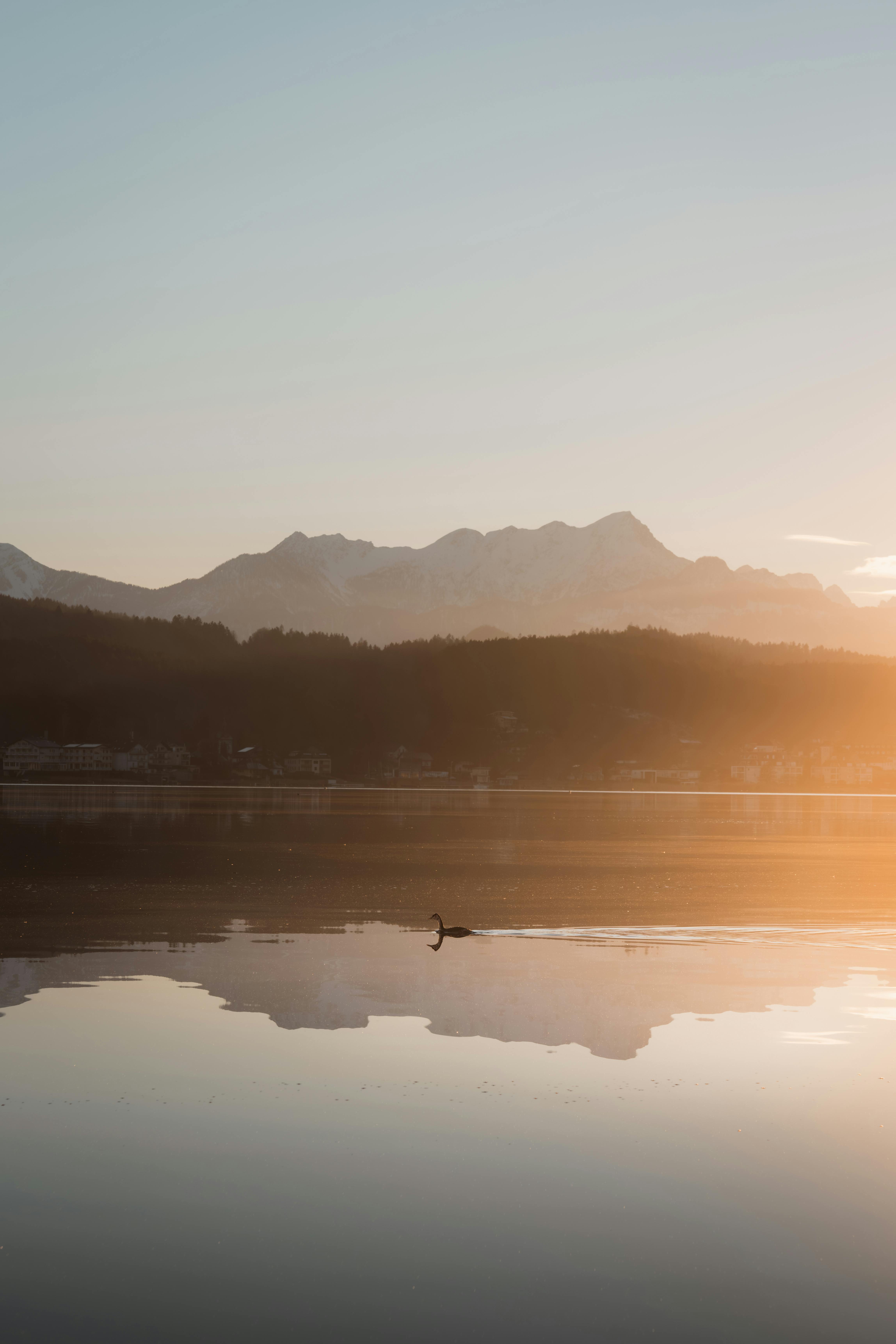 High Resolution Pictures Photos, Download The BEST Free High Resolution ...