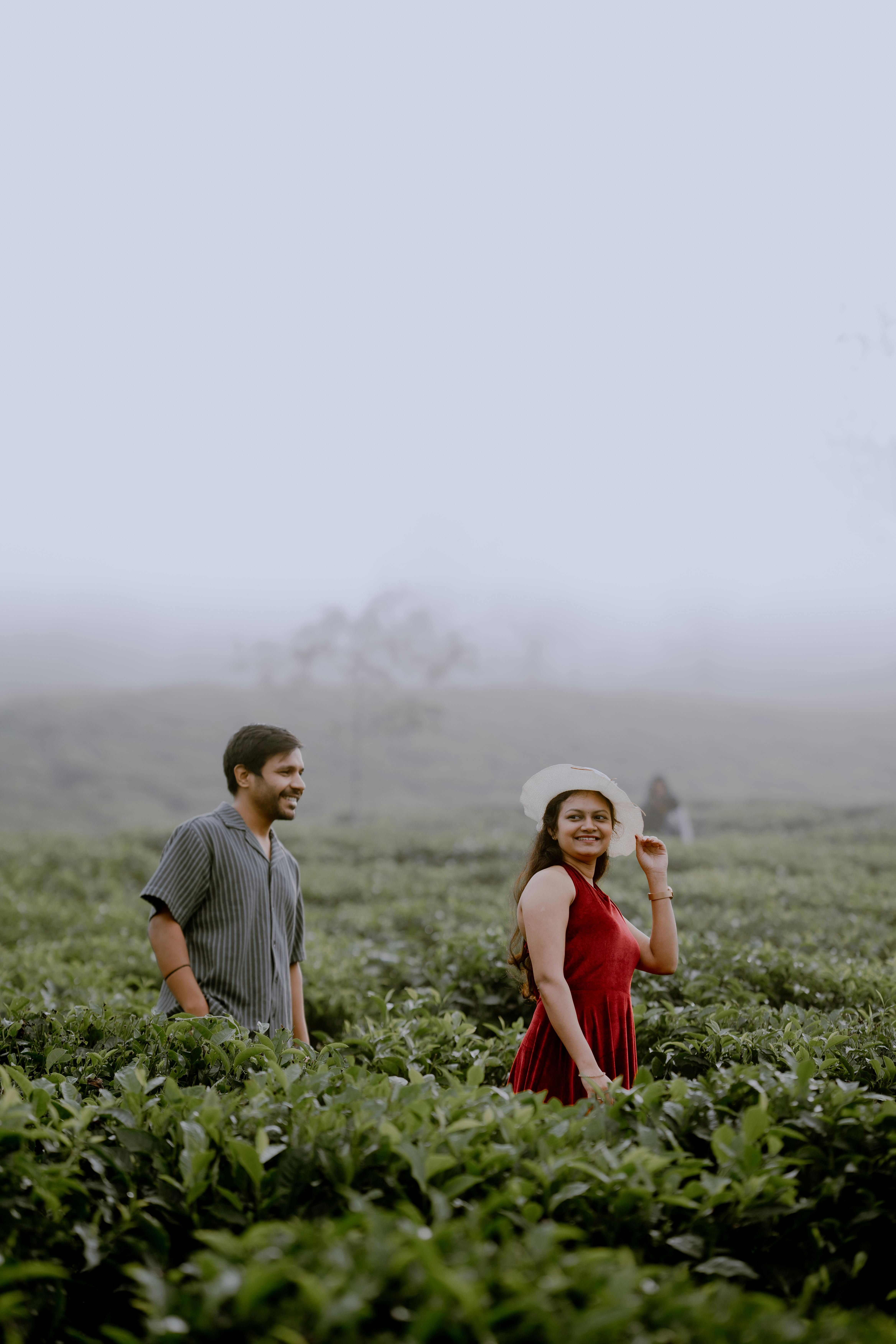 Couple Strolling in Lush Tea Plantation · Free Stock Photo