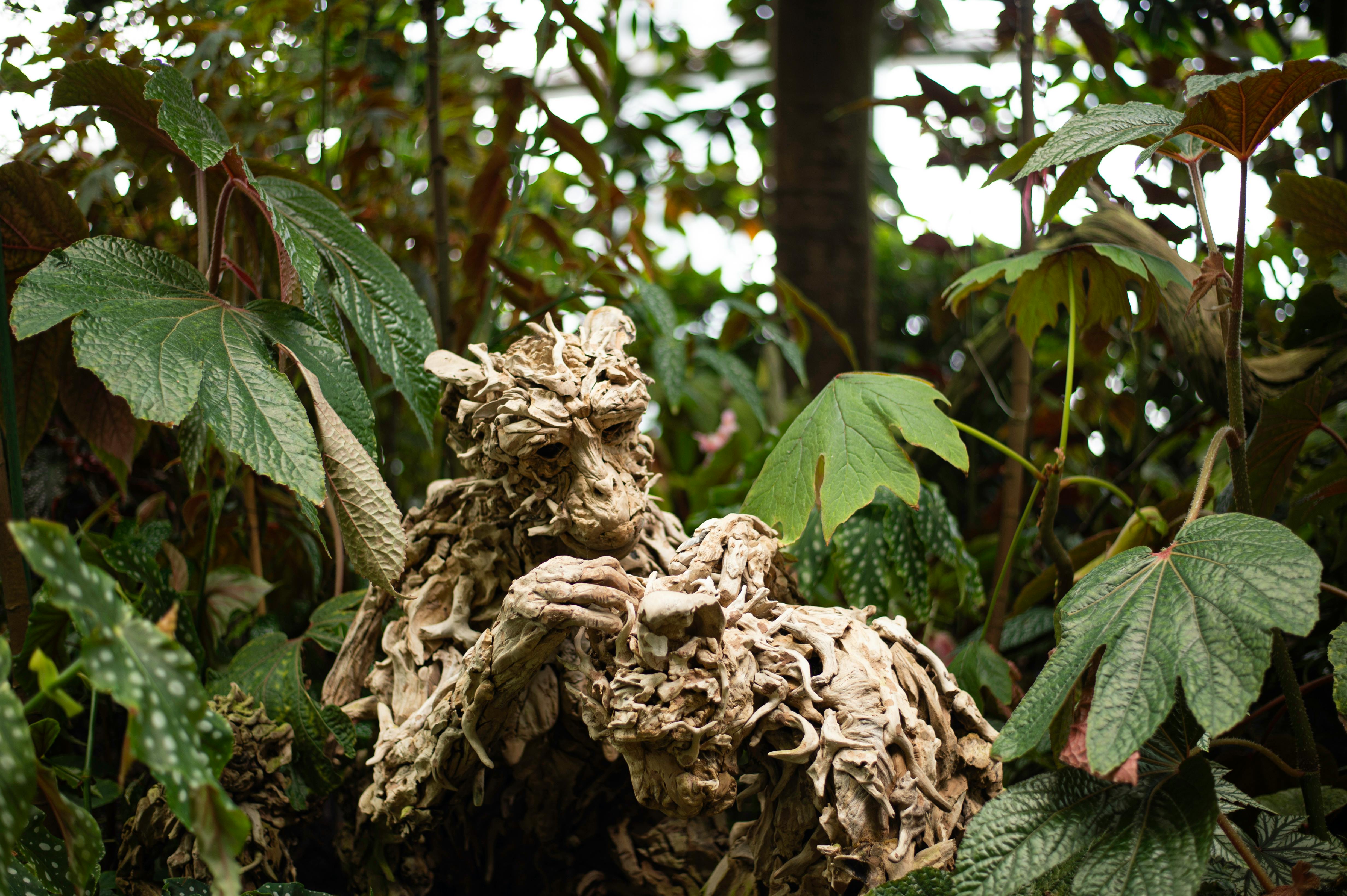 Artistic wood sculpture amidst lush greenery · Free Stock Photo