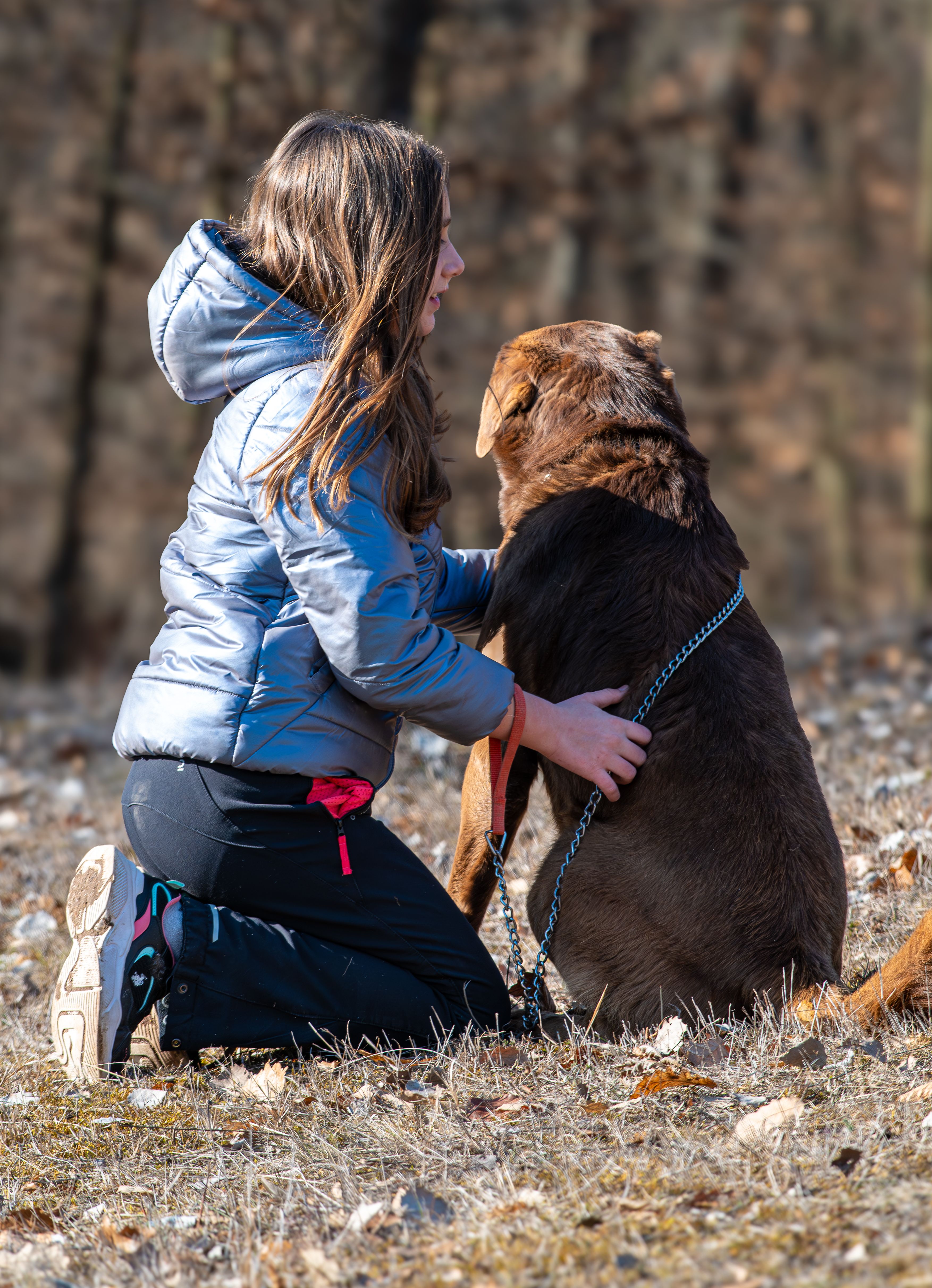 Girl and Dog Enjoy a Peaceful Moment Outdoors · Free Stock Photo