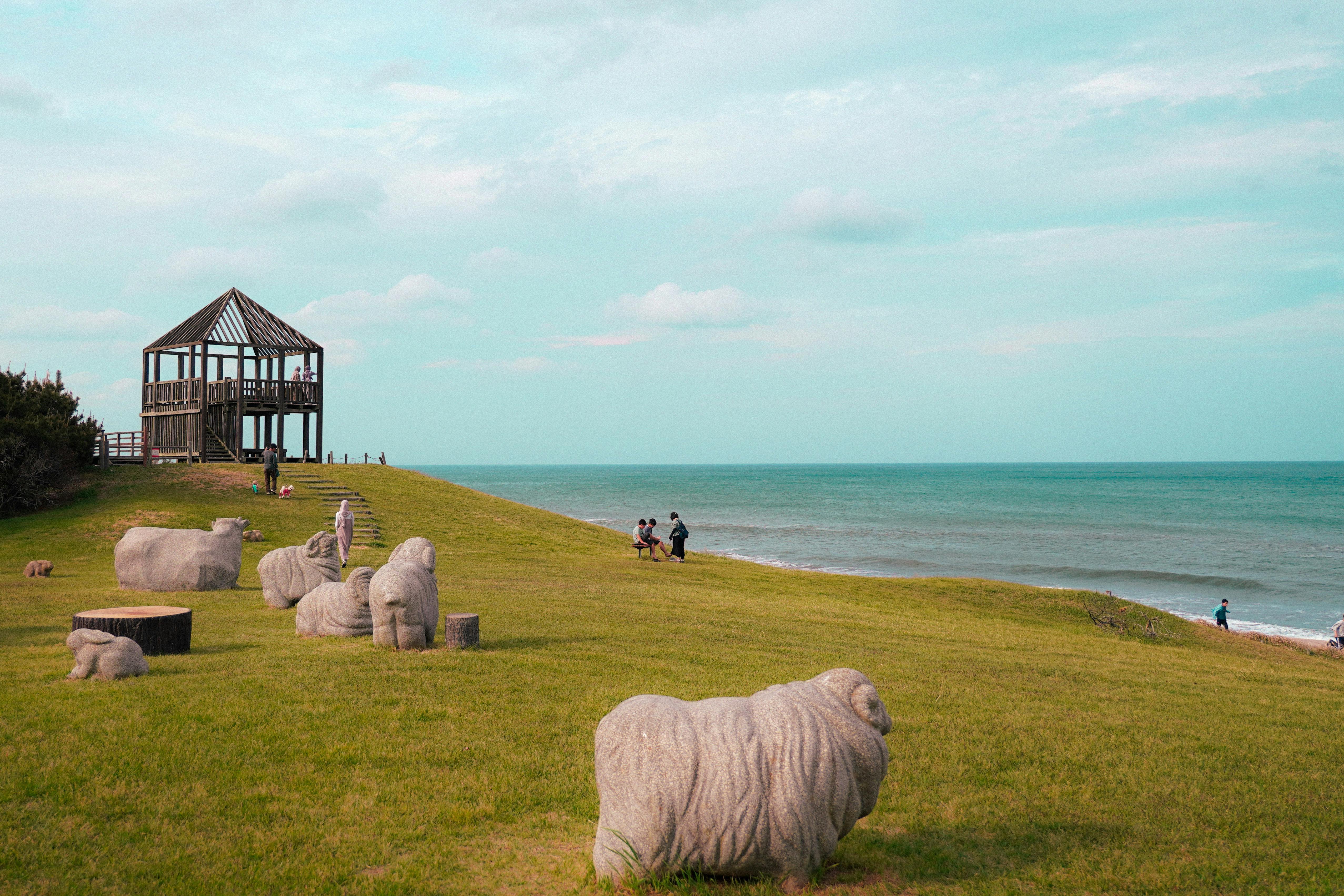 Grassy Lawn Photos, Download The BEST Free Grassy Lawn Stock Photos ...