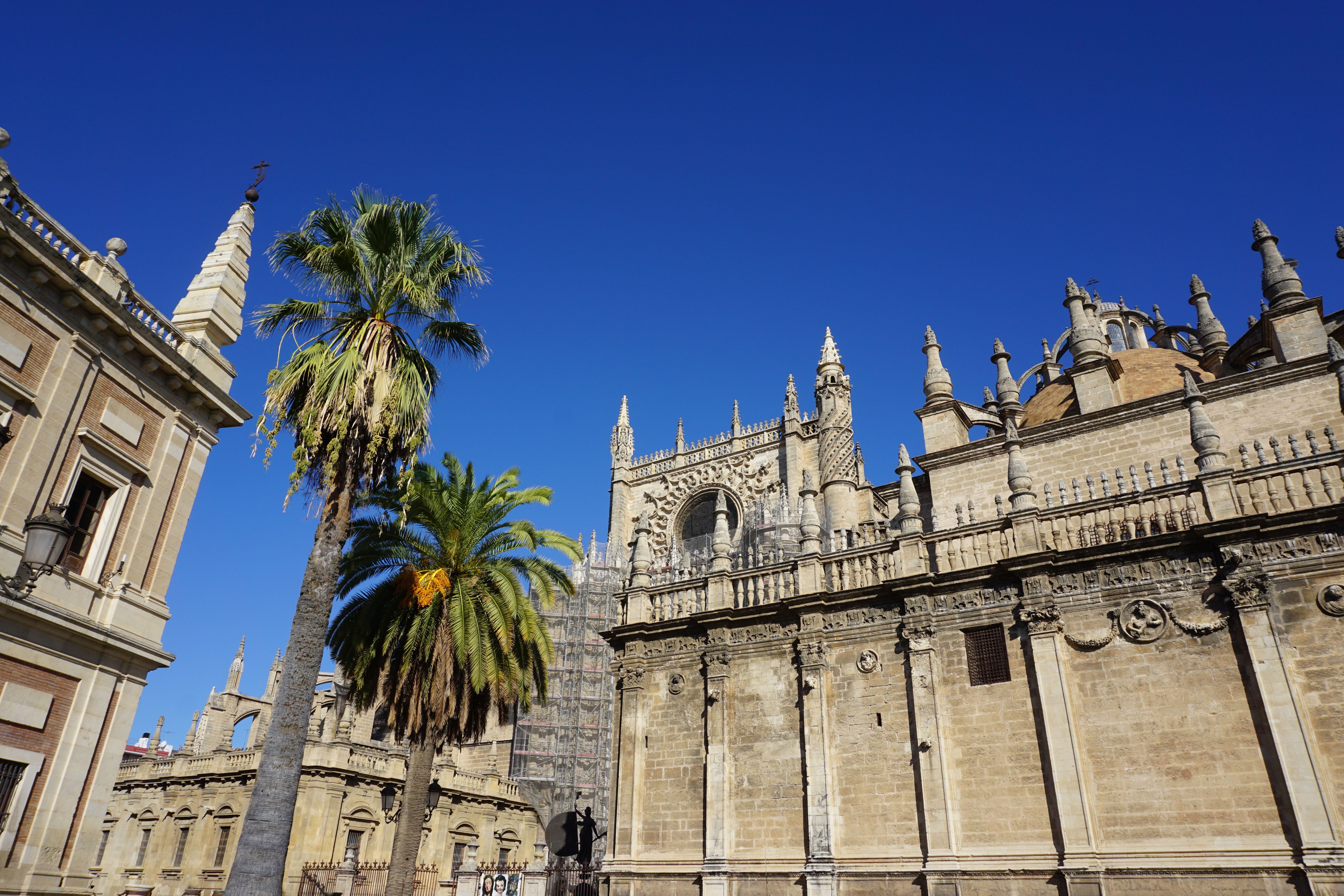 Seville Cathedral and Palm Tree under Blue Sky · Free Stock Photo