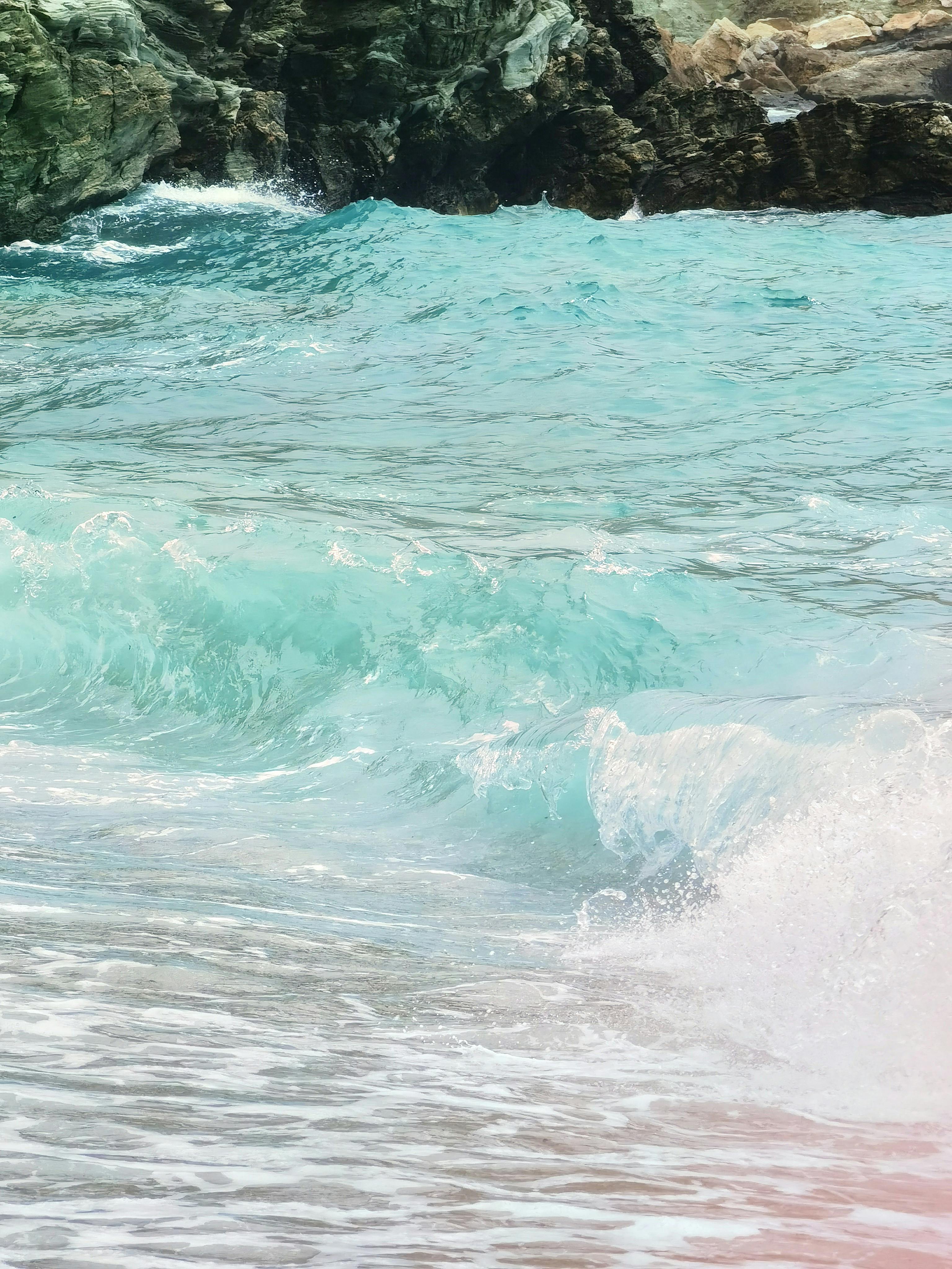 Kumapati+Rils Photos, Download The BEST Free Kumapati+Rils Stock Photos ...