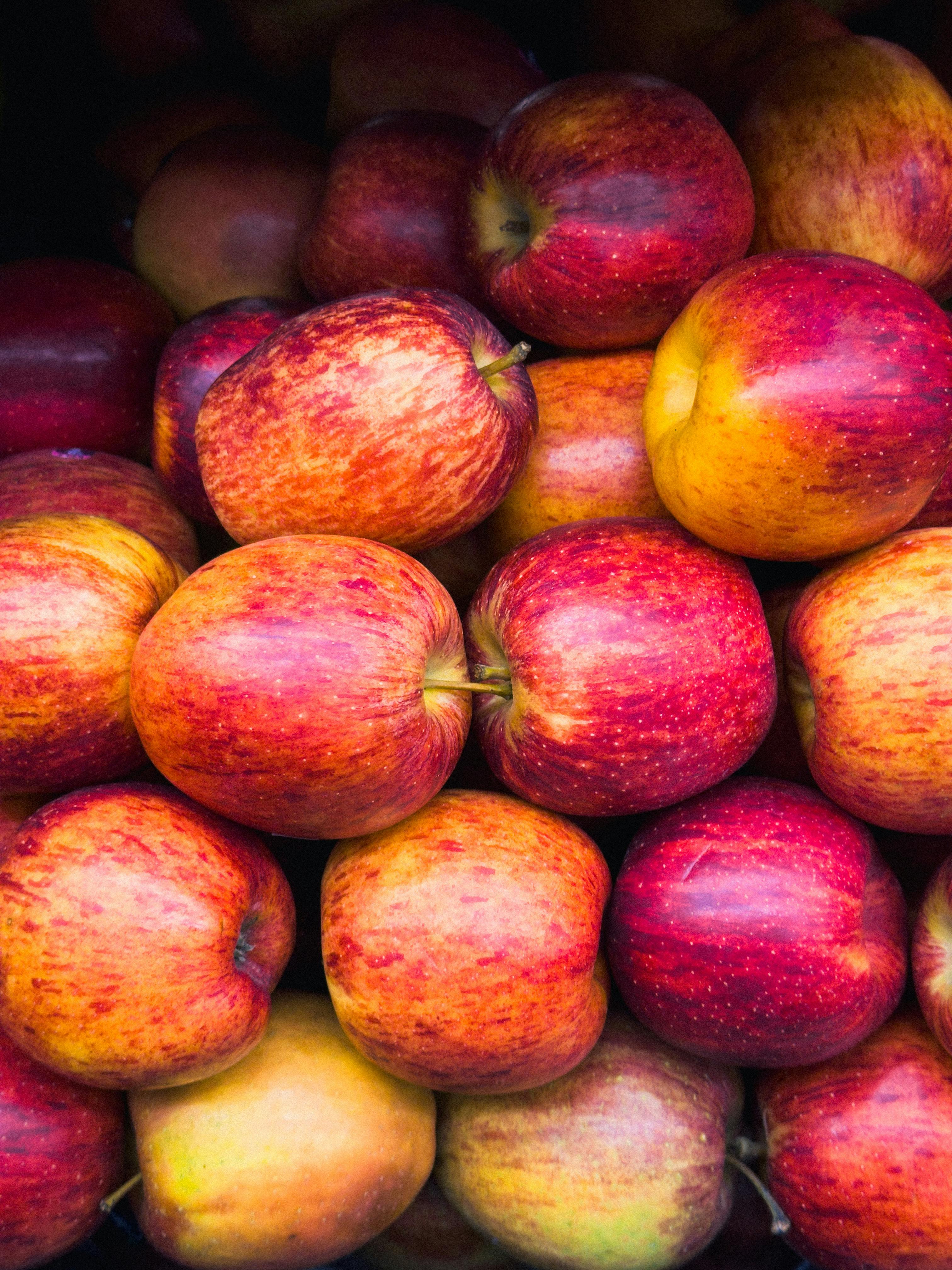 Red Apple Fruit · Free Stock Photo