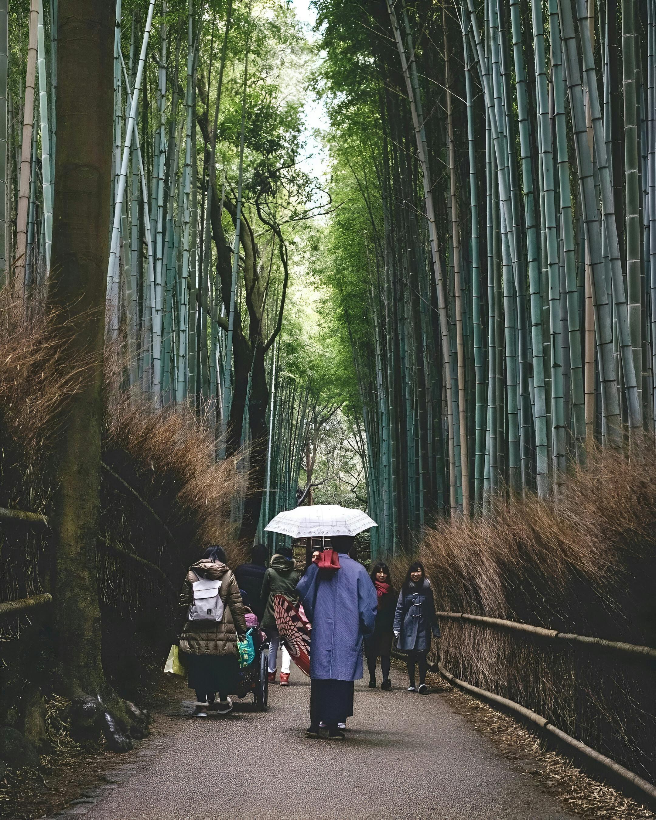 Turistas Paseando Por El Bosque De Bambú De Arashiyama, Japón · Foto de ...