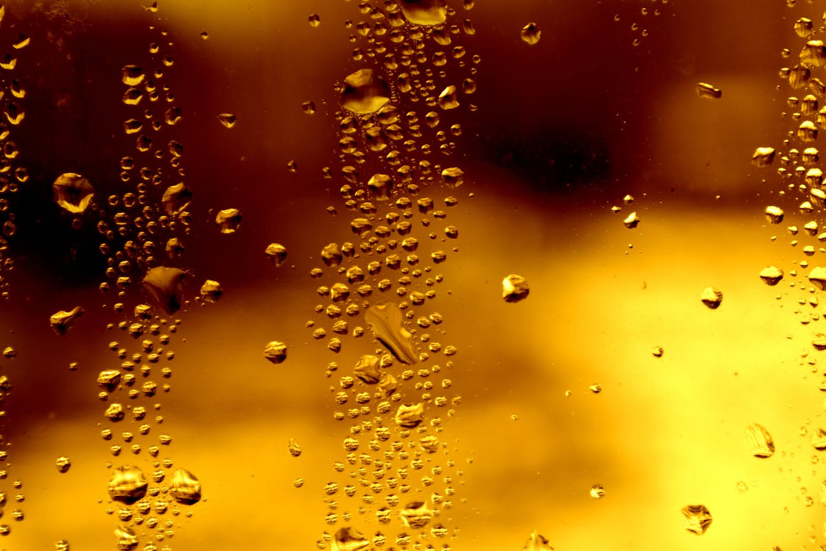 Amber Photos, Download The BEST Free Amber Stock Photos & HD Images