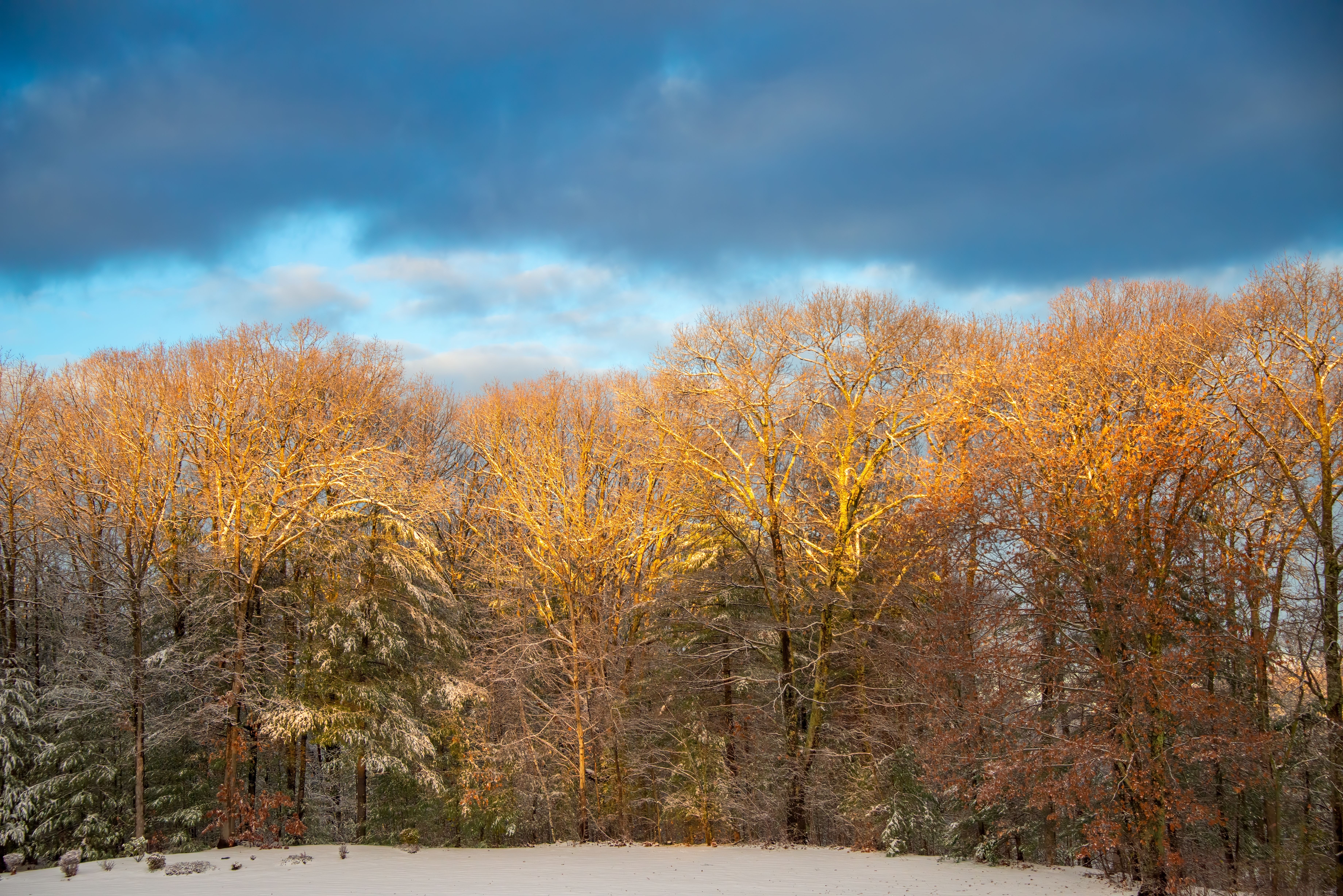Hd Snowfall Gif Photos, Download The BEST Free Hd Snowfall Gif Stock ...