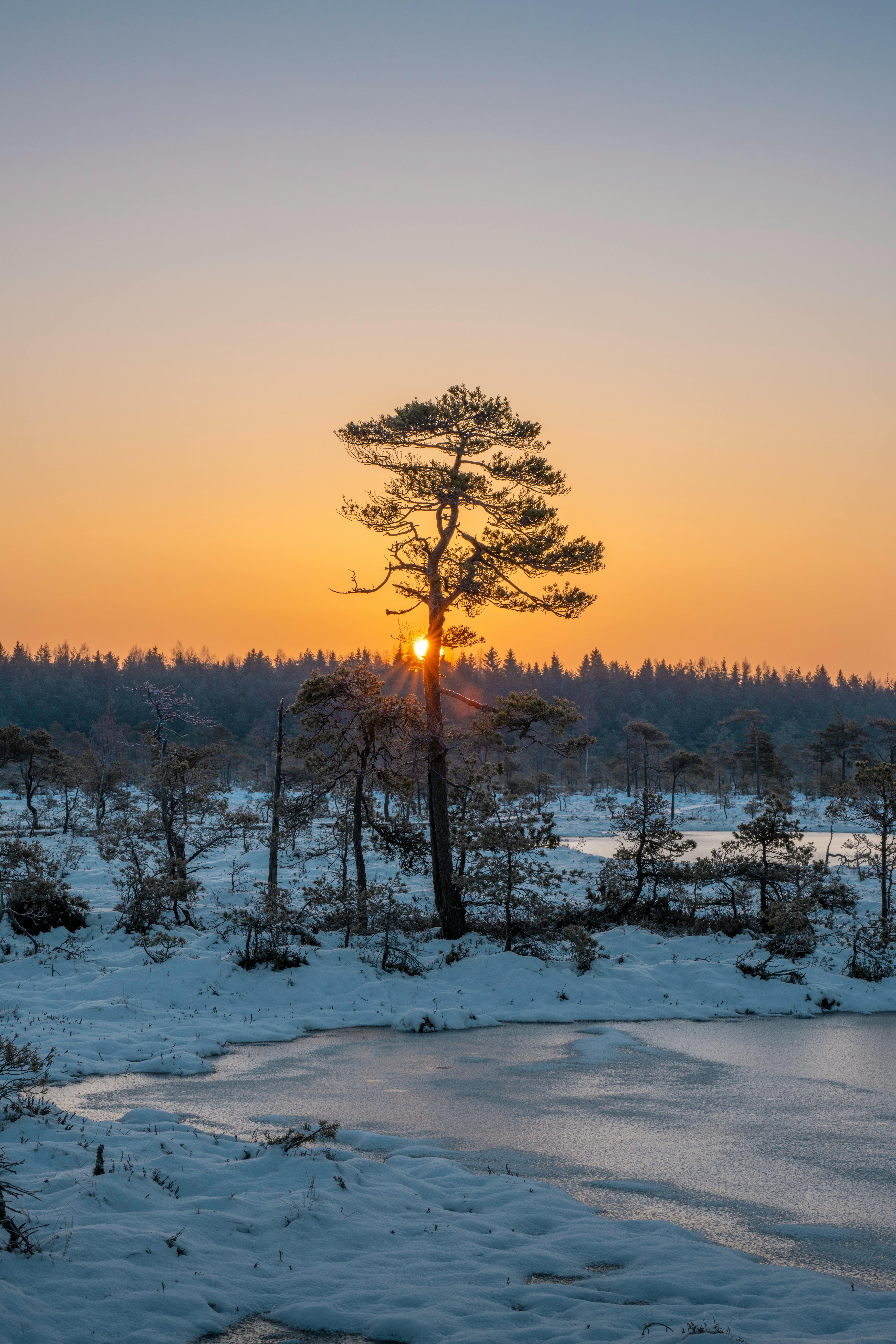 Immigration Ice Photos, Download The BEST Free Immigration Ice Stock ...