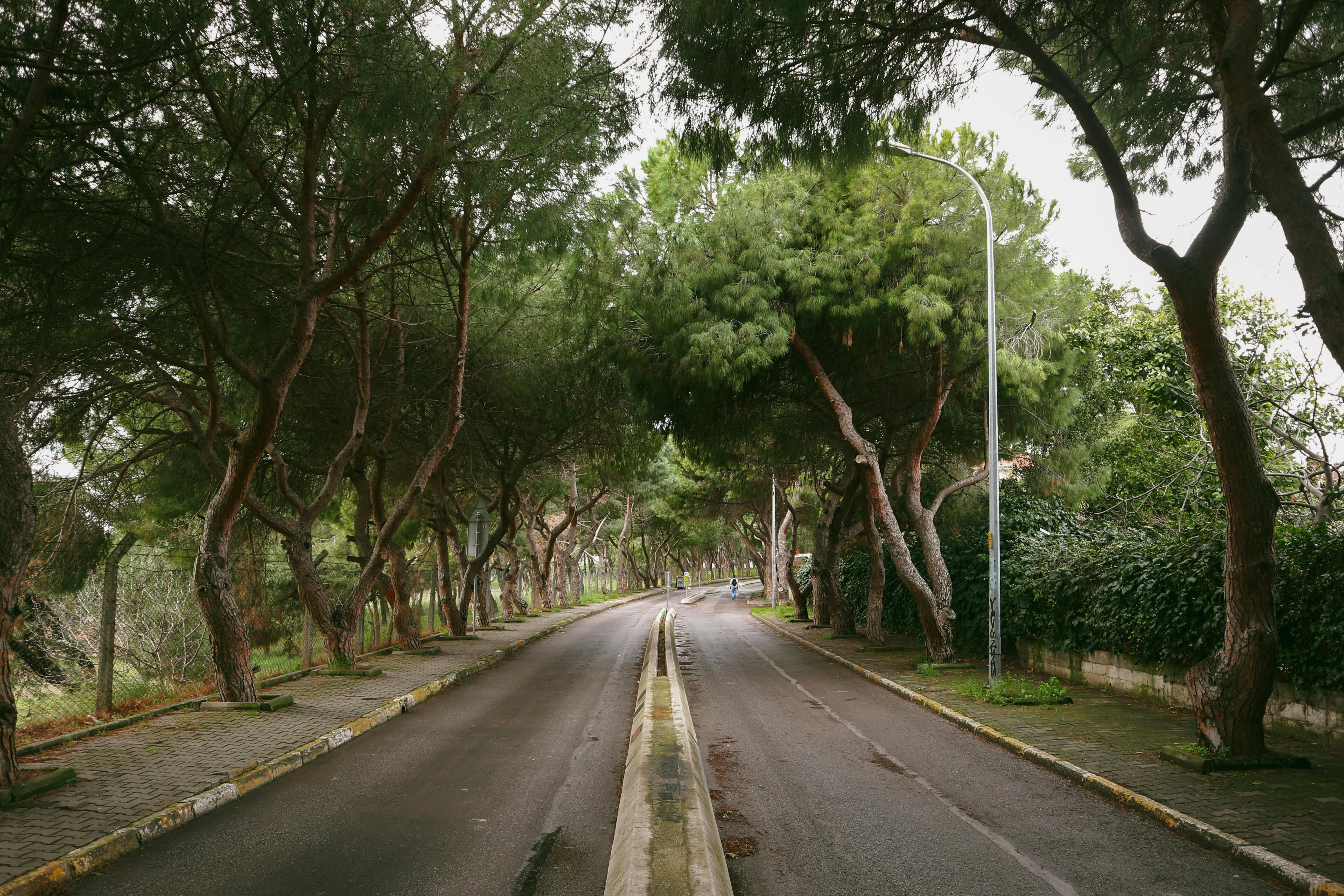 Street Alley Landscape Photos, Download The BEST Free Street Alley ...