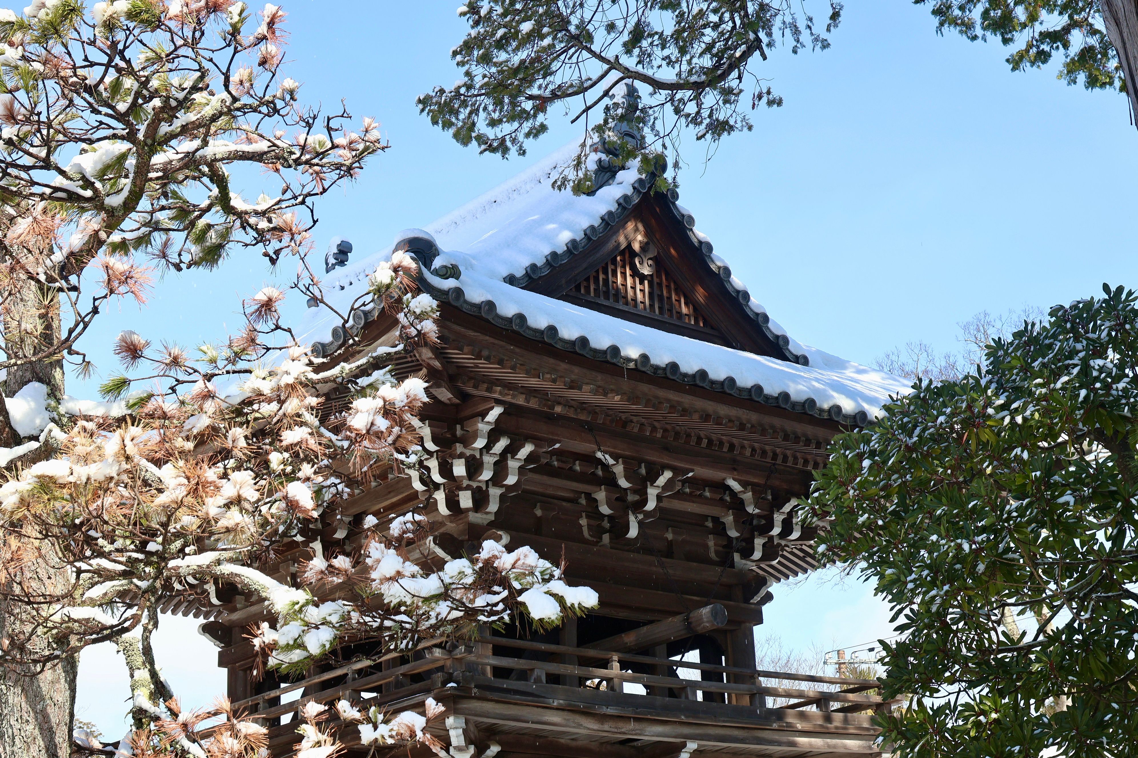 Traditional Japanese Temple in Winter Snow · Free Stock Photo