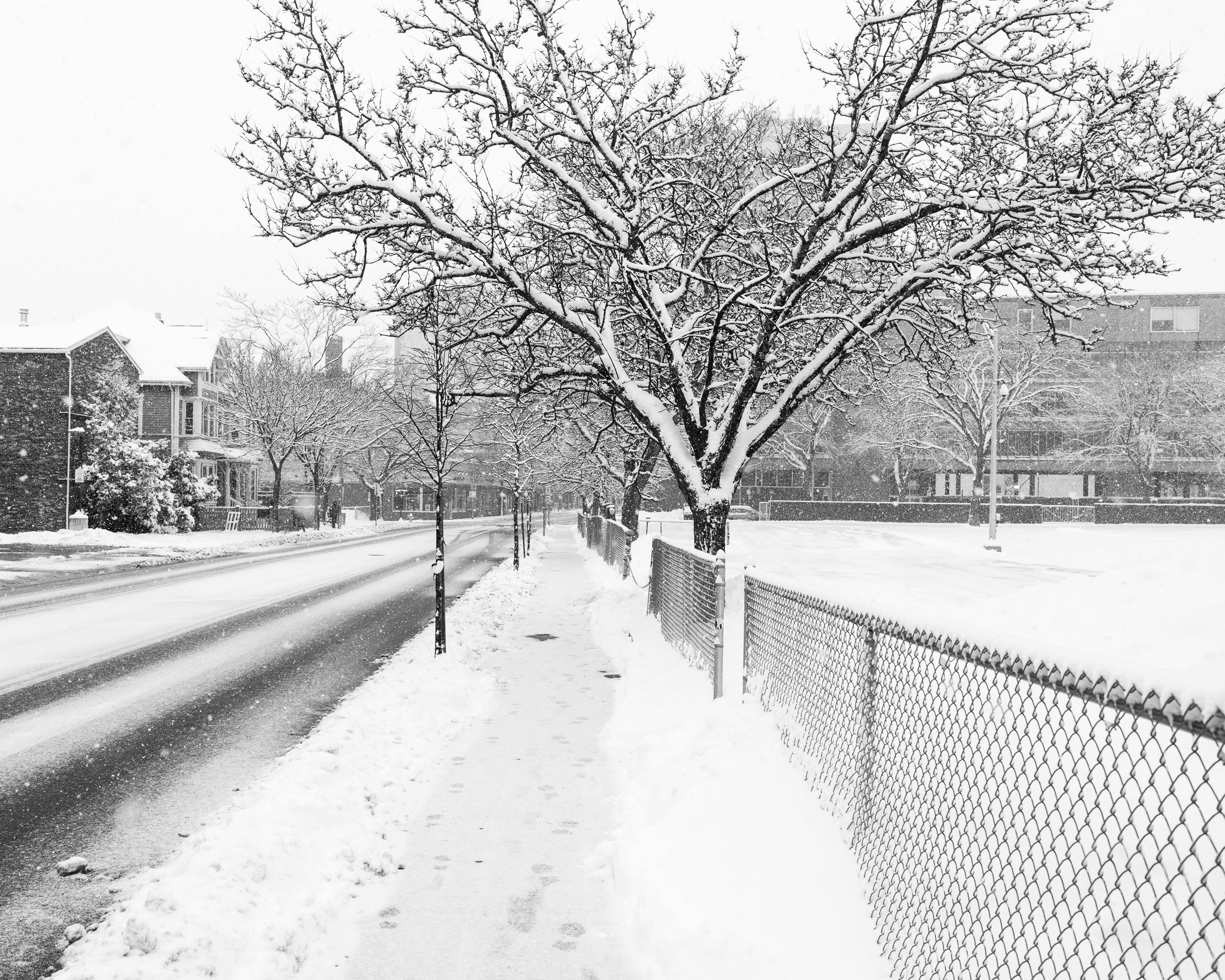 Photo of Snow Covered Benches in the Street · Free Stock Photo