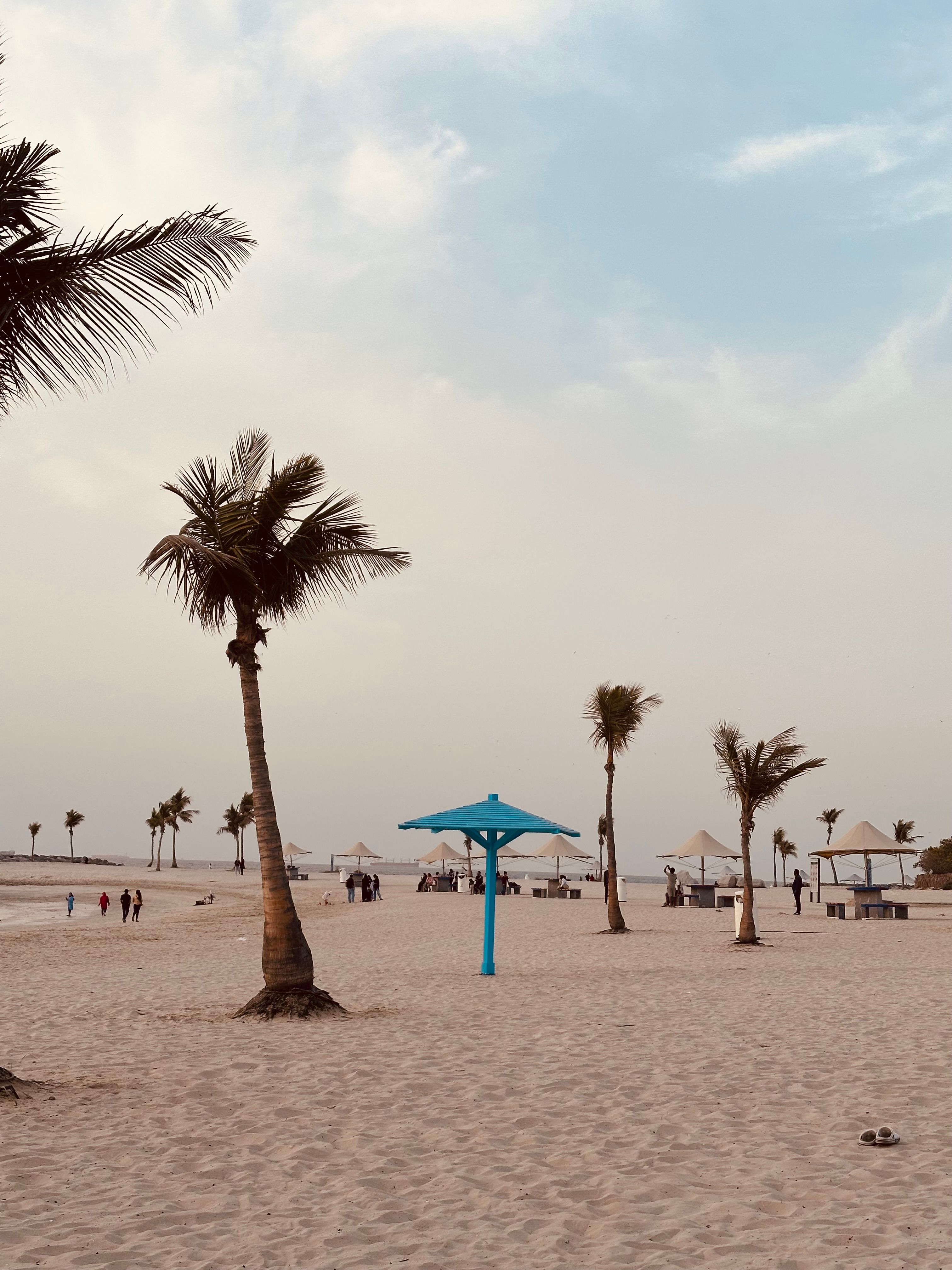 Scenic Beach View with Palm Trees in Dubai · Free Stock Photo