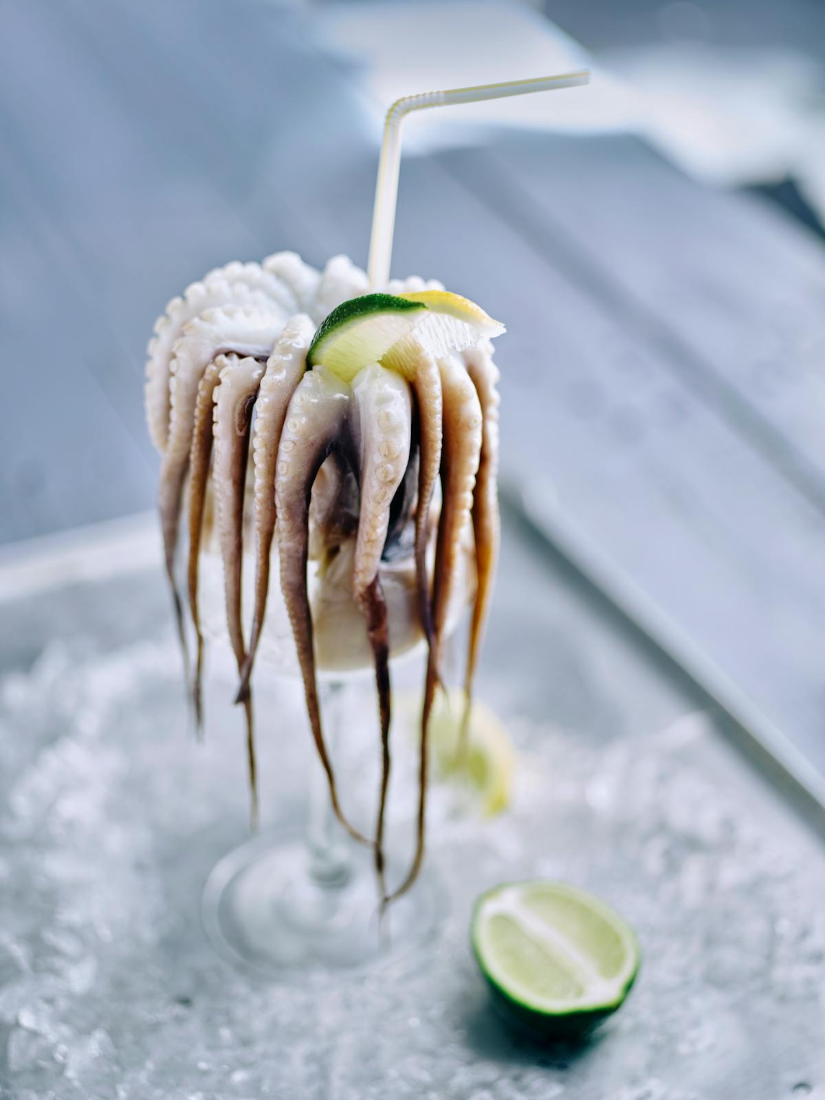 Octopus Underwater Photos, Download The BEST Free Octopus Underwater ...