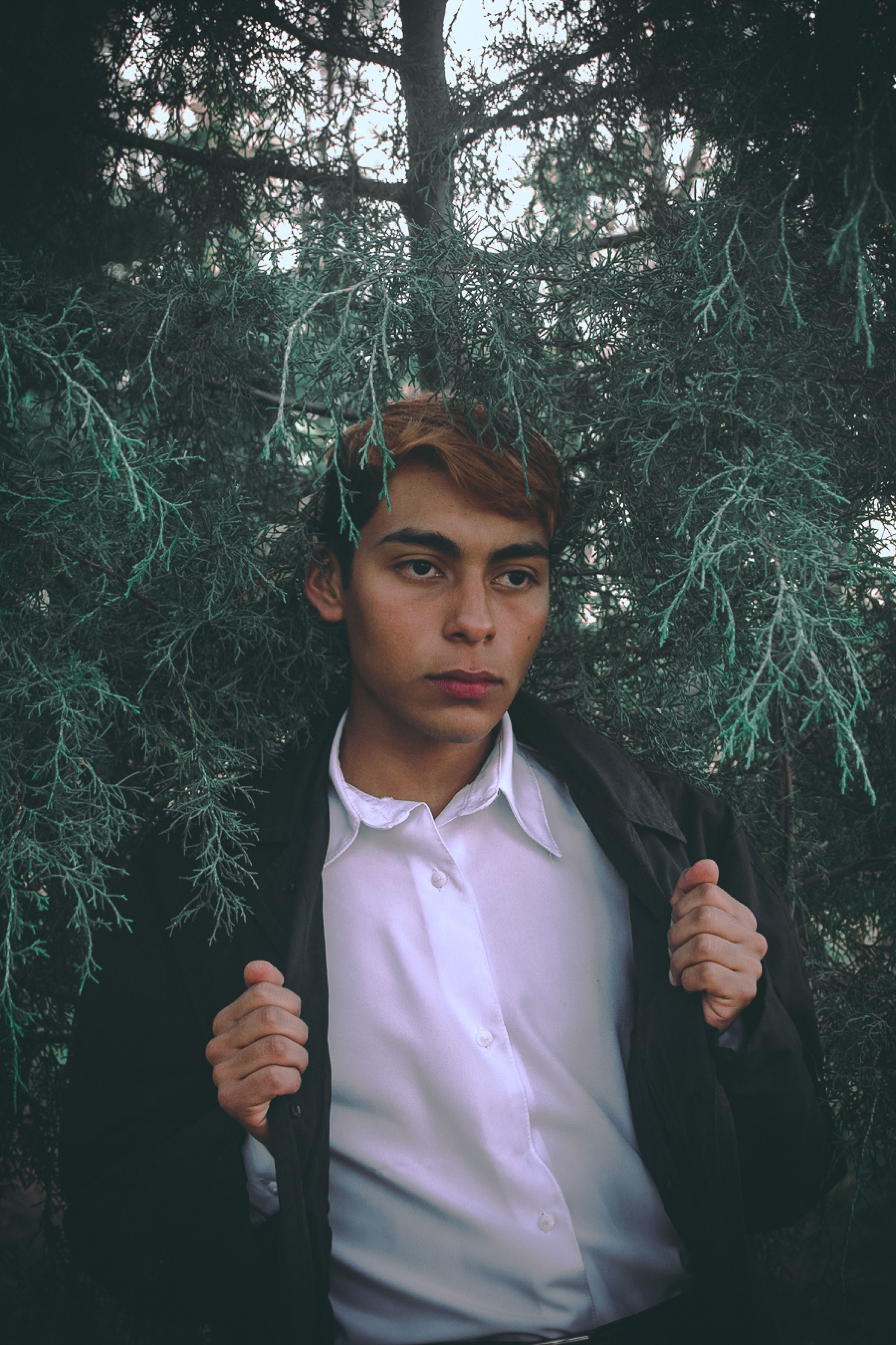 Foto de stock gratuita sobre adulto joven, al aire libre, arboles ...