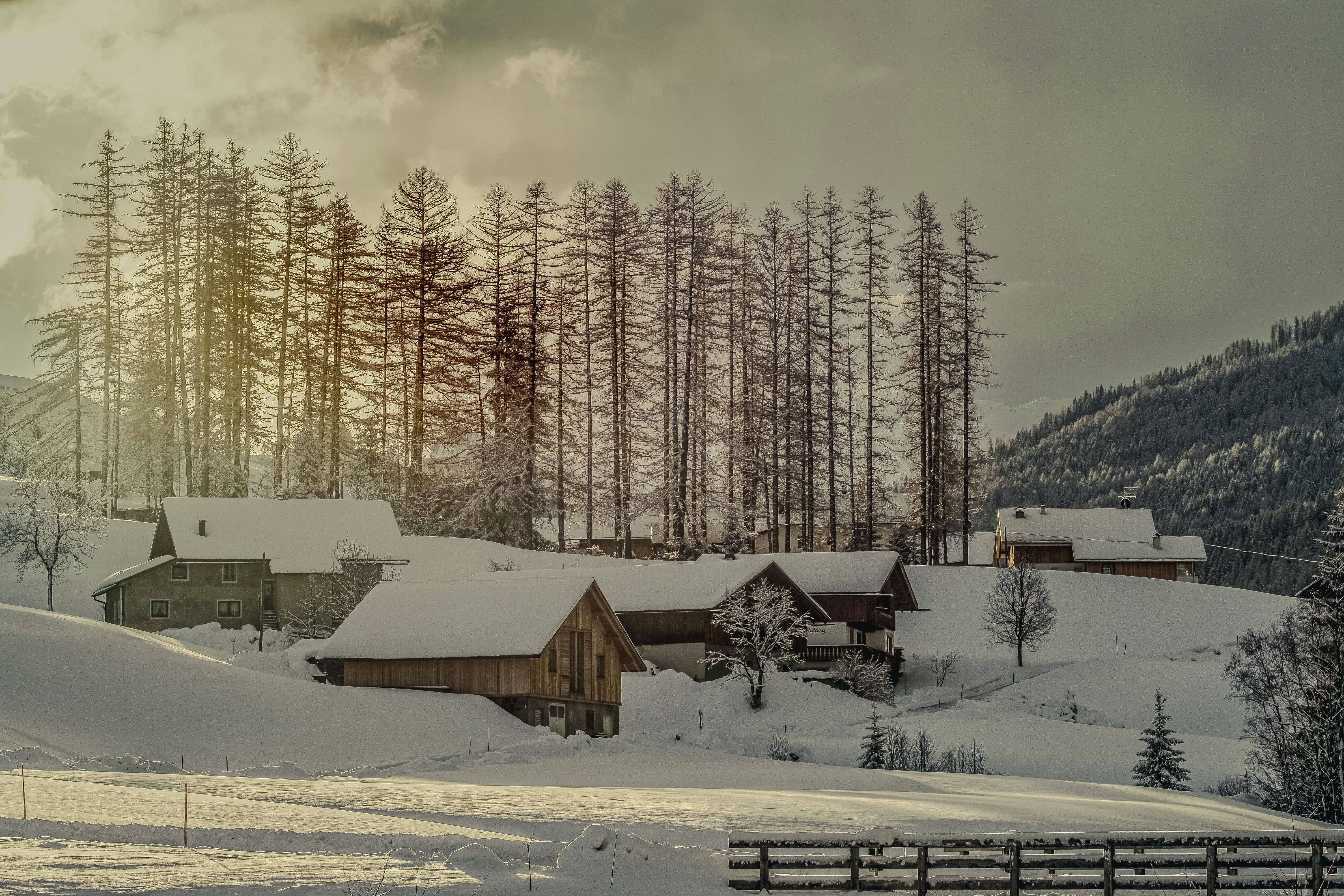 Charming Snow-Covered Village in Winter · Free Stock Photo