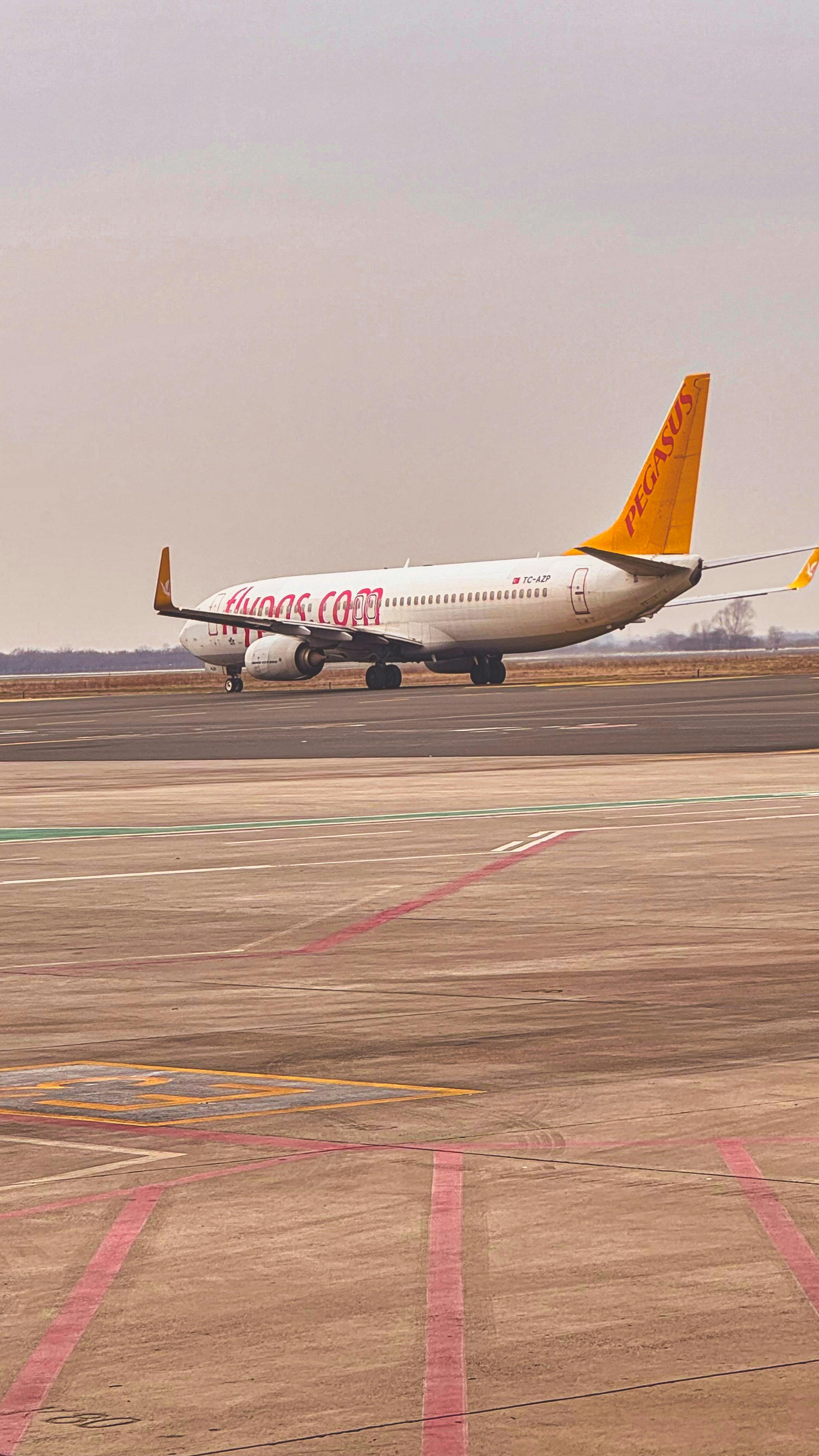 Qantas Airlines Plane on Air · Free Stock Photo